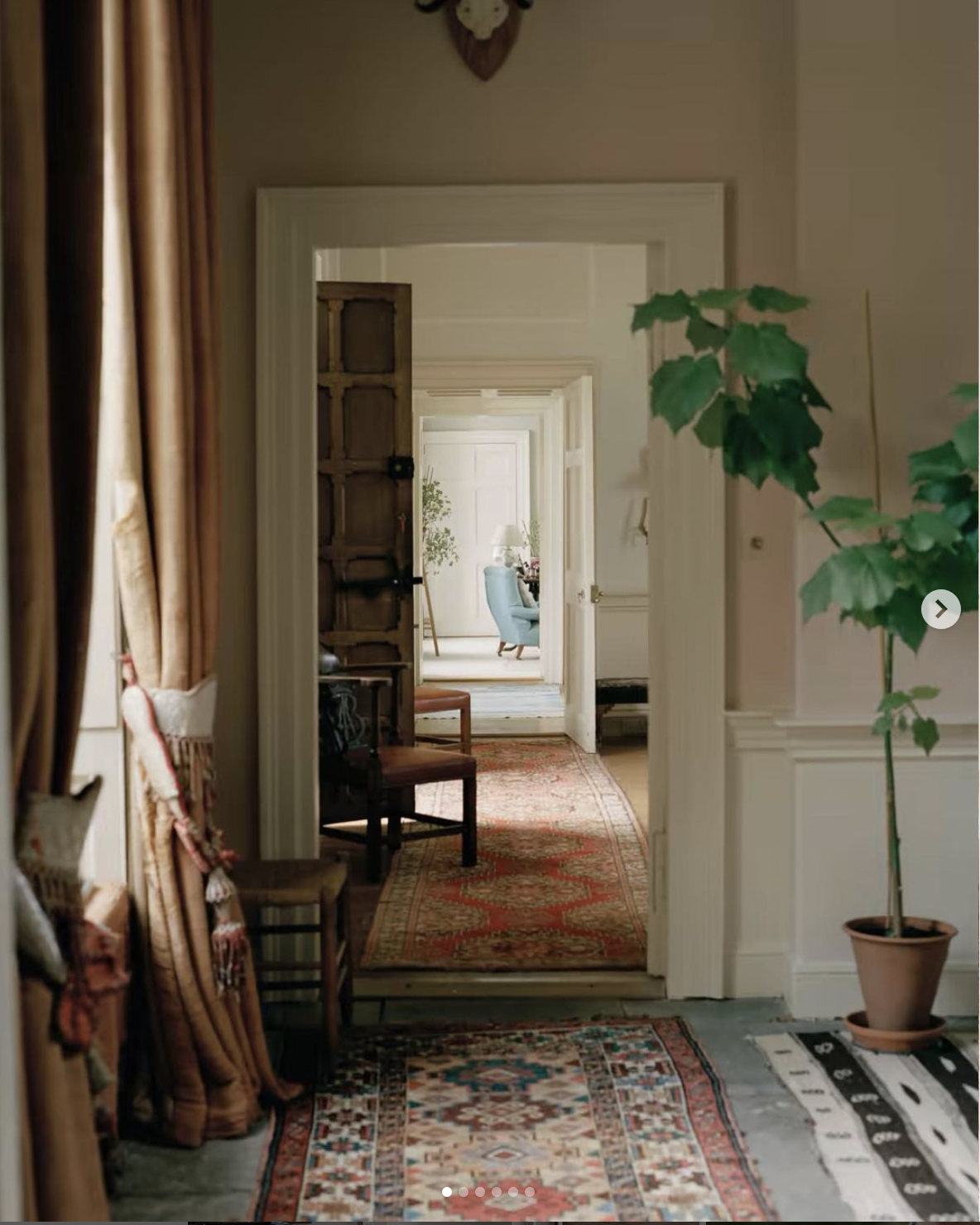 Help Identifying a Plant | Scrolller