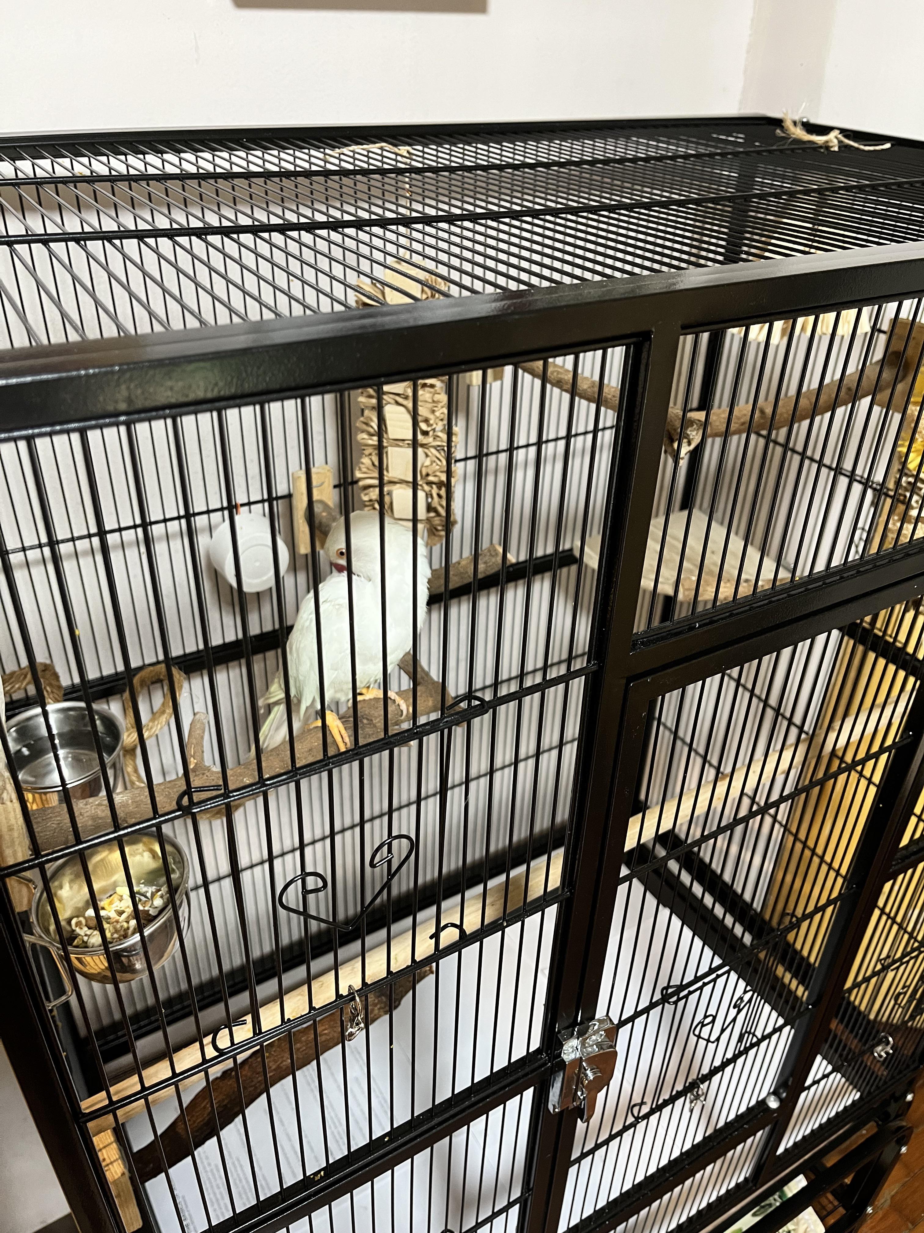 New cage! But also, can I remove the bottom railings? | Scrolller