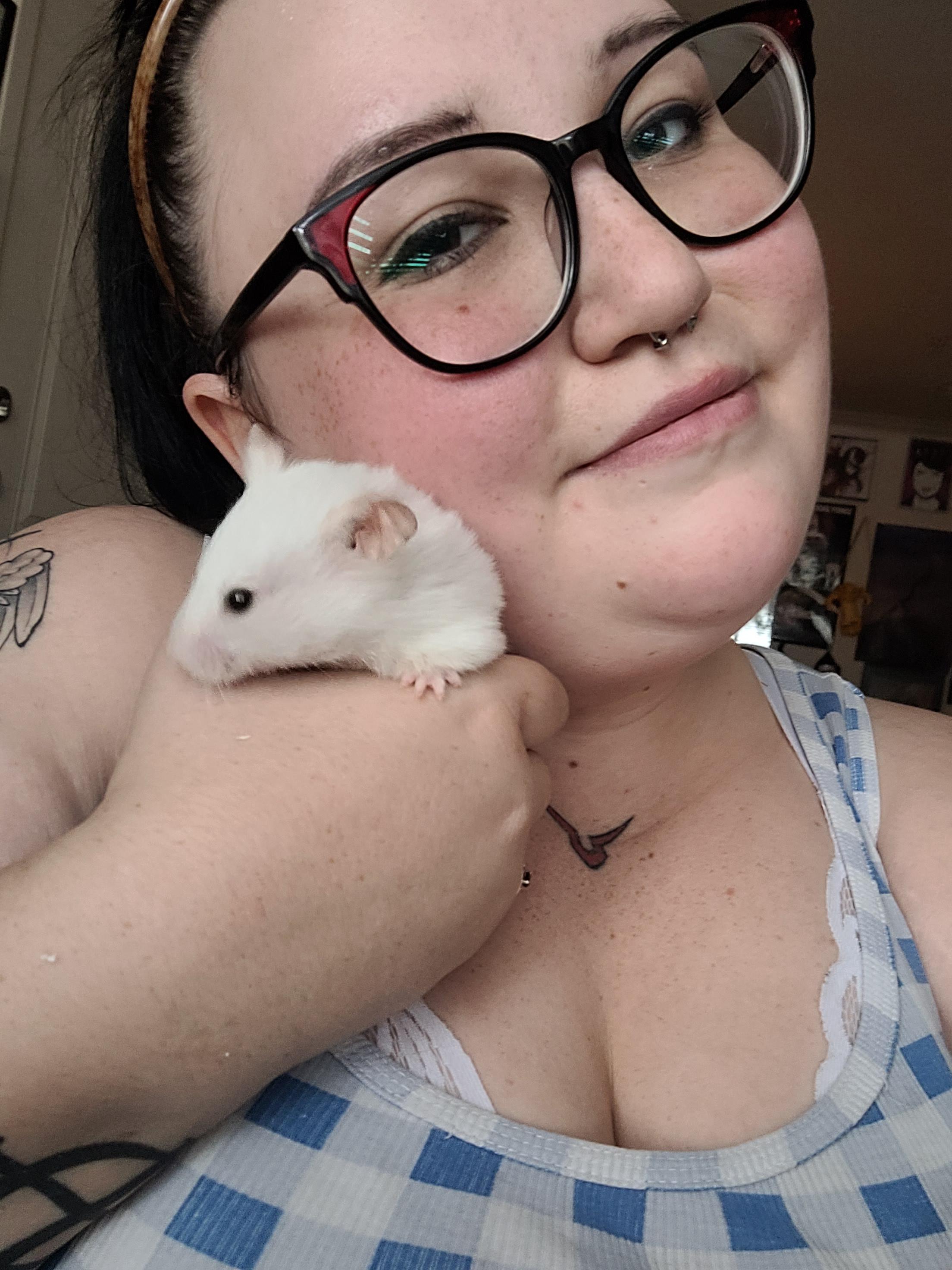 Hamster has a lump UPDATE | Scrolller