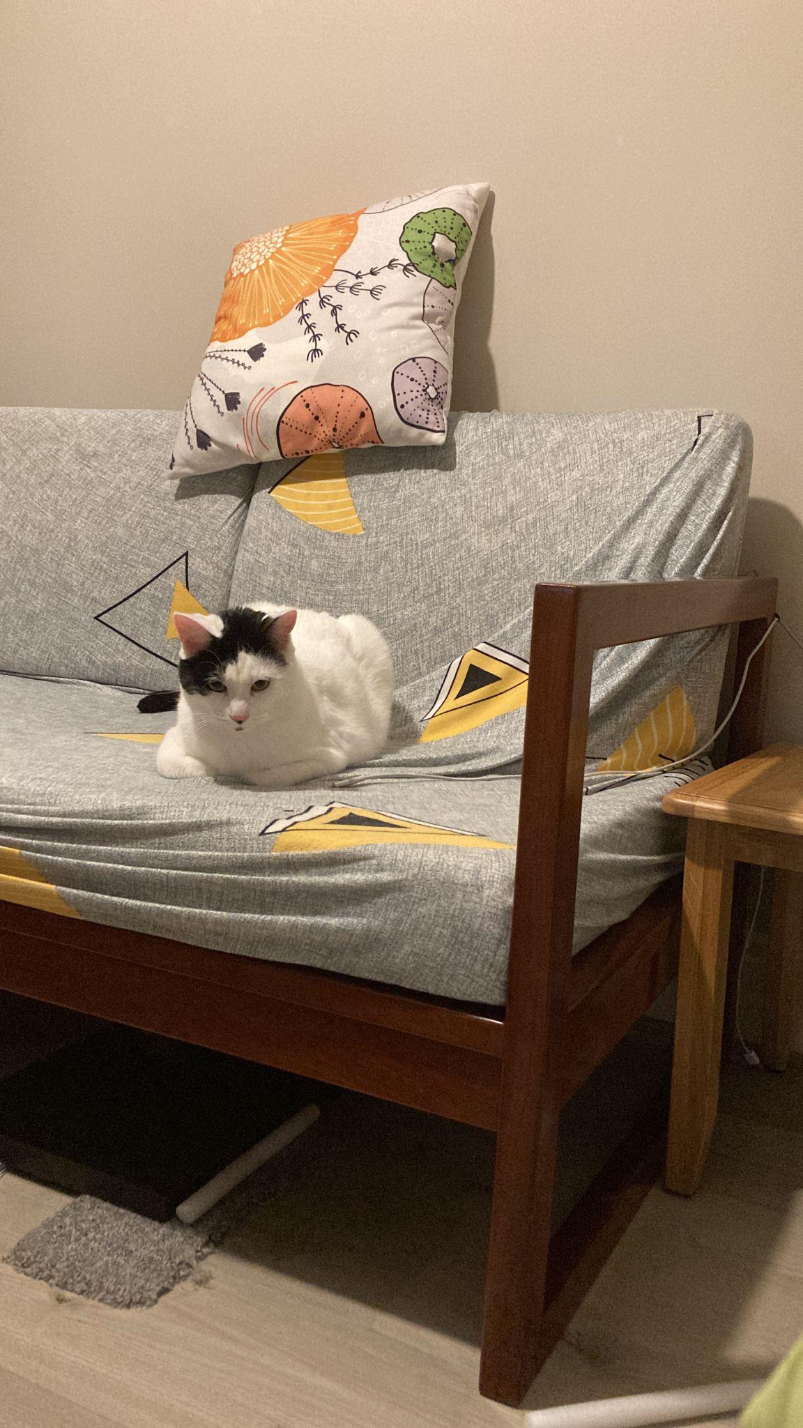 Recent batches of loaves | Scrolller