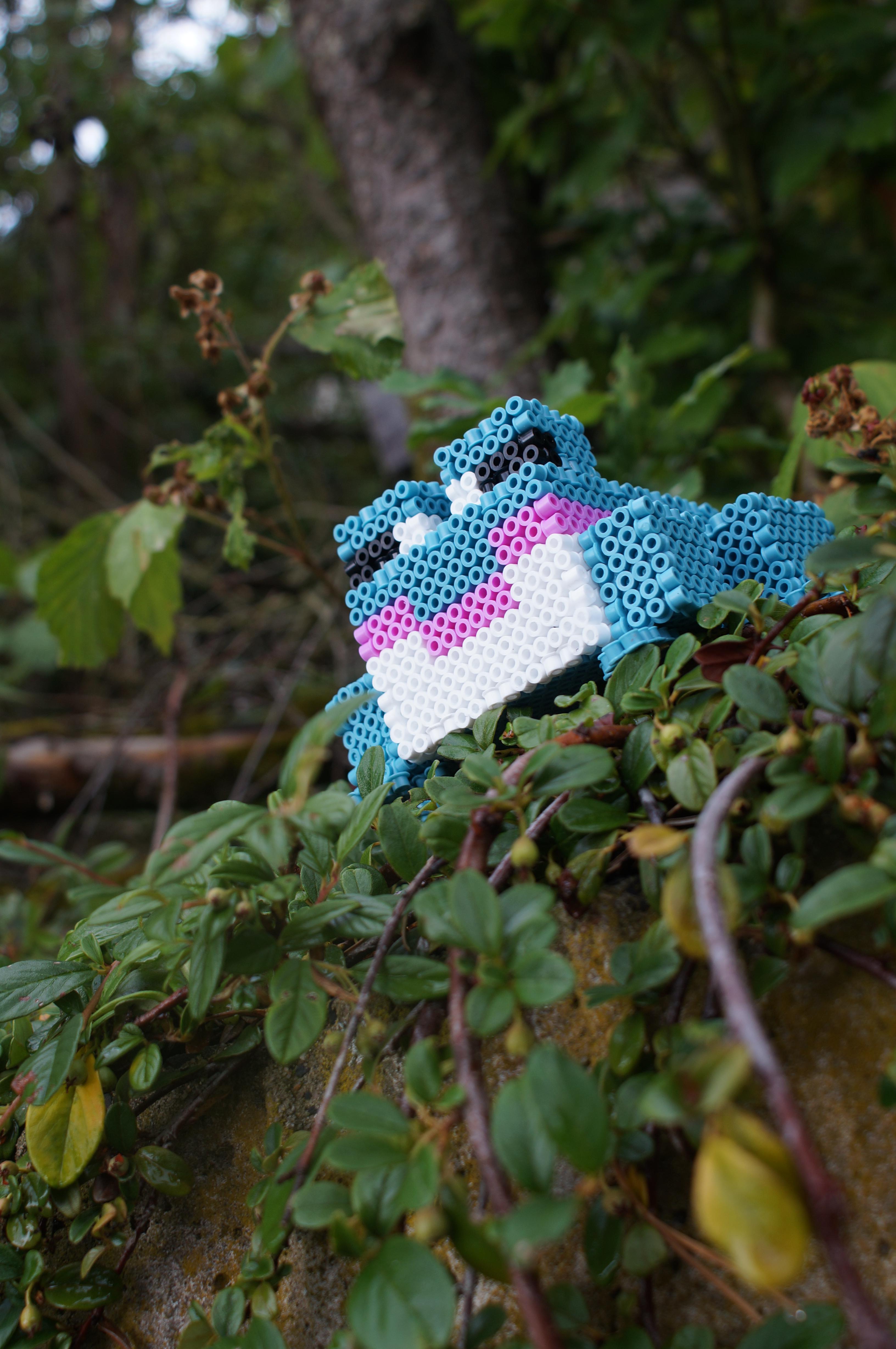 I made a trans colored perler Frog | Scrolller
