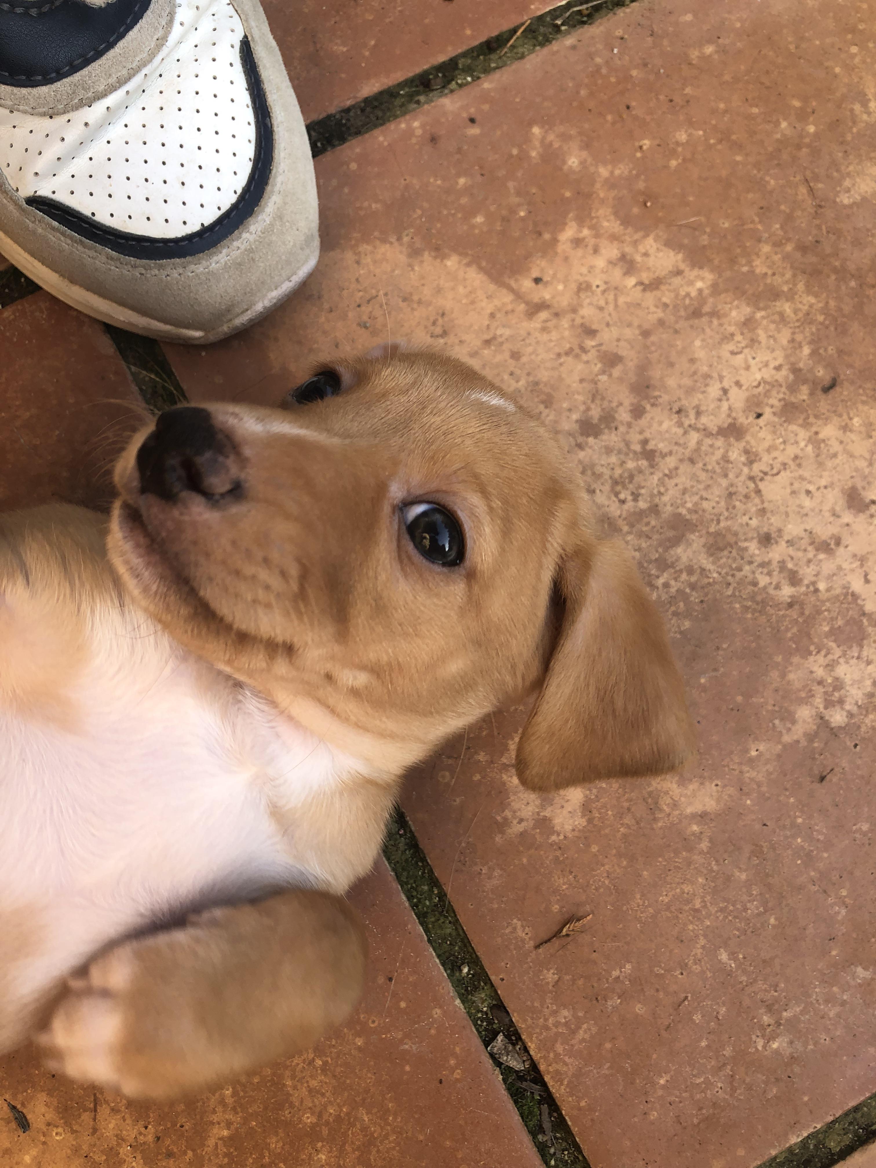 She poses | Scrolller