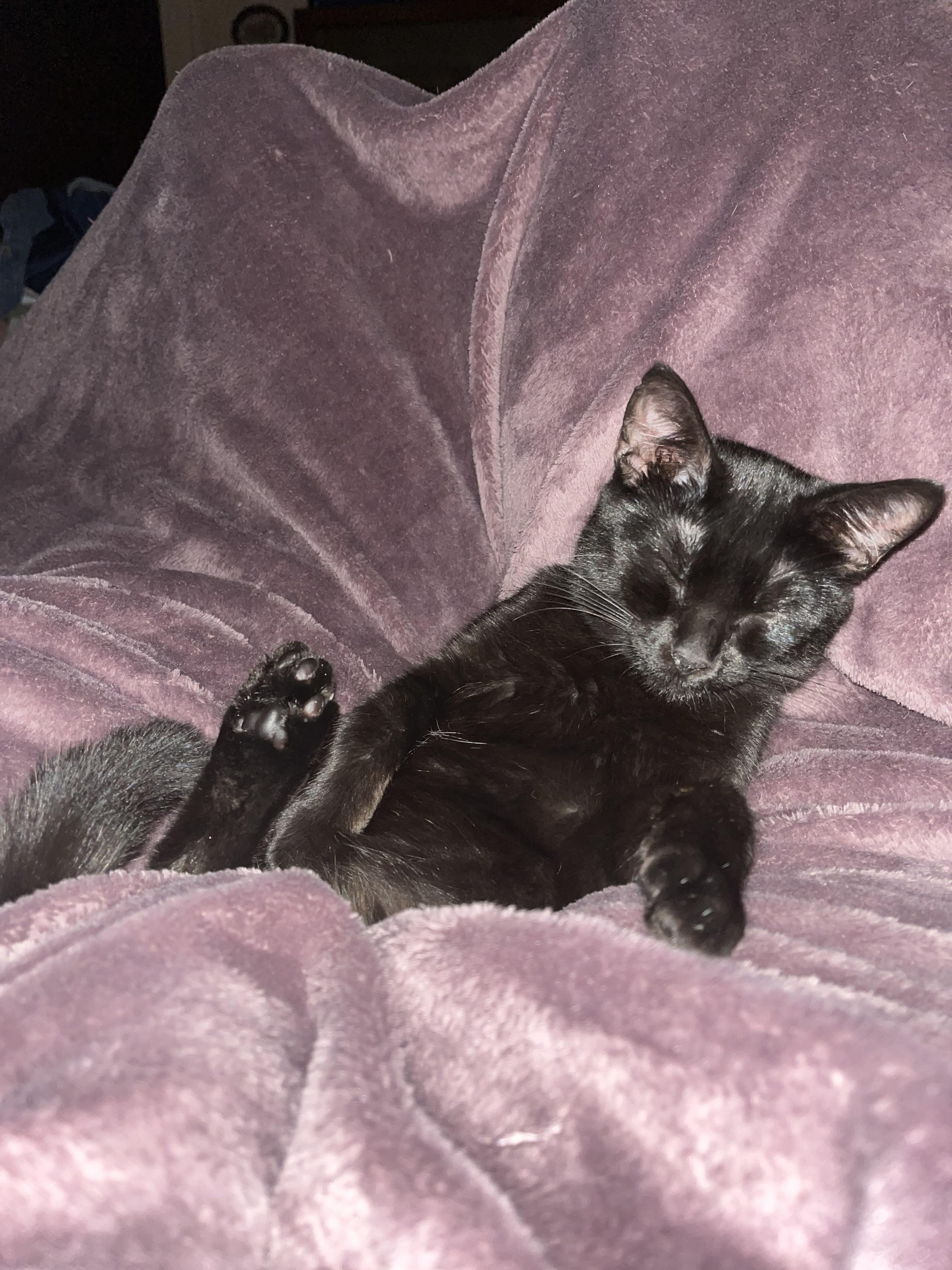 Is this normal void behavior??? | Scrolller