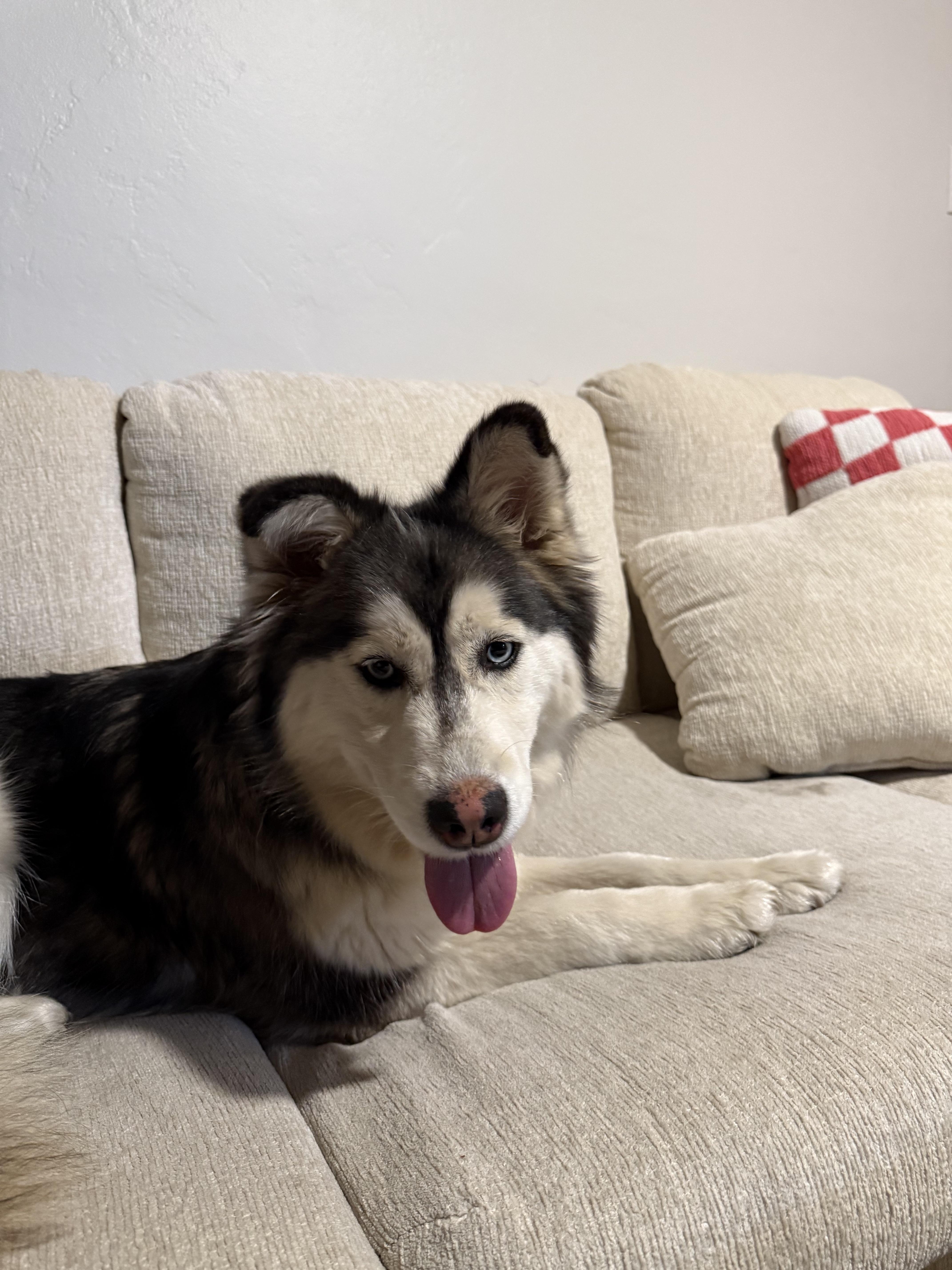 Help identifying? | Scrolller