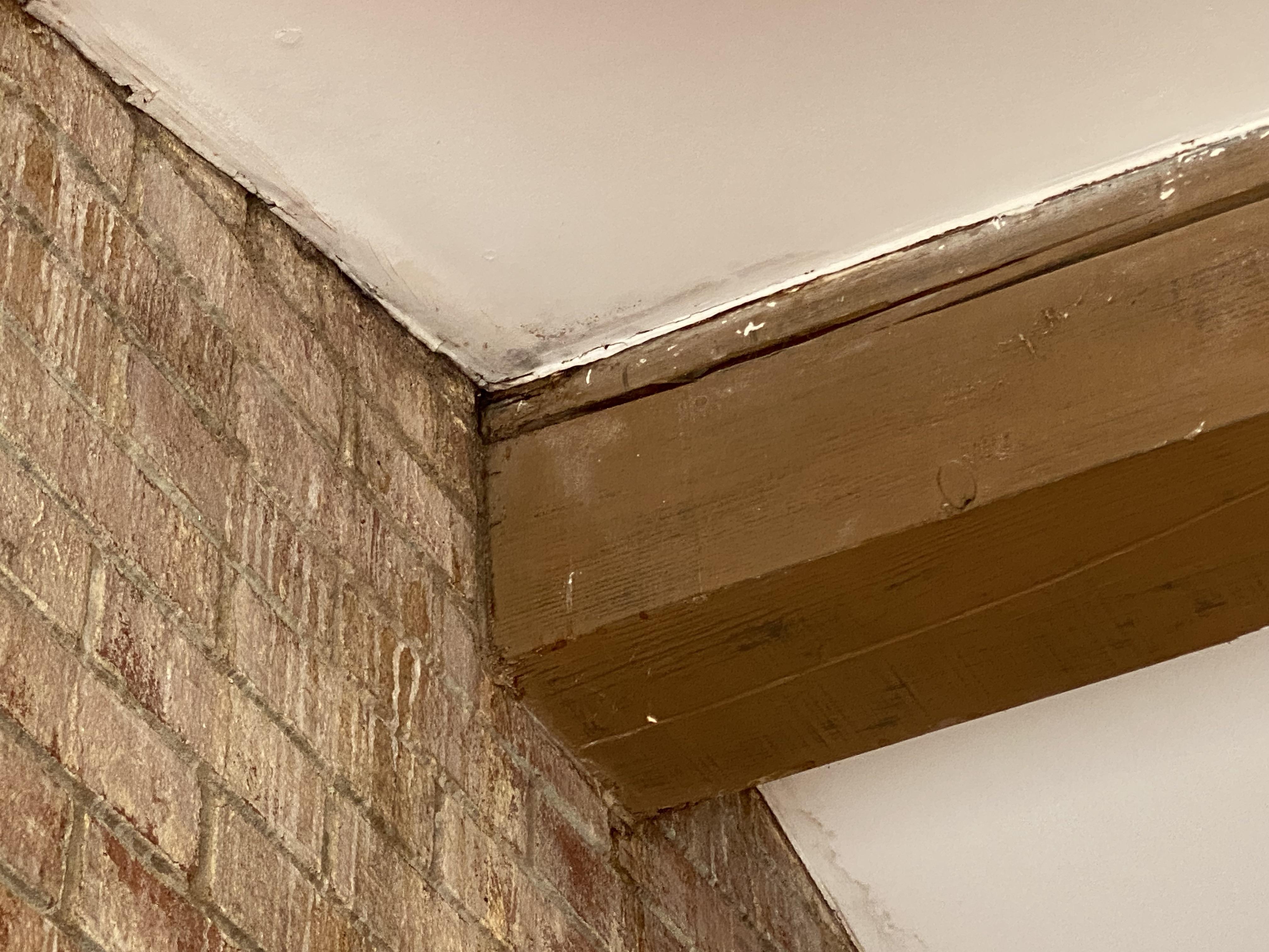 Moldy Drywall | Scrolller