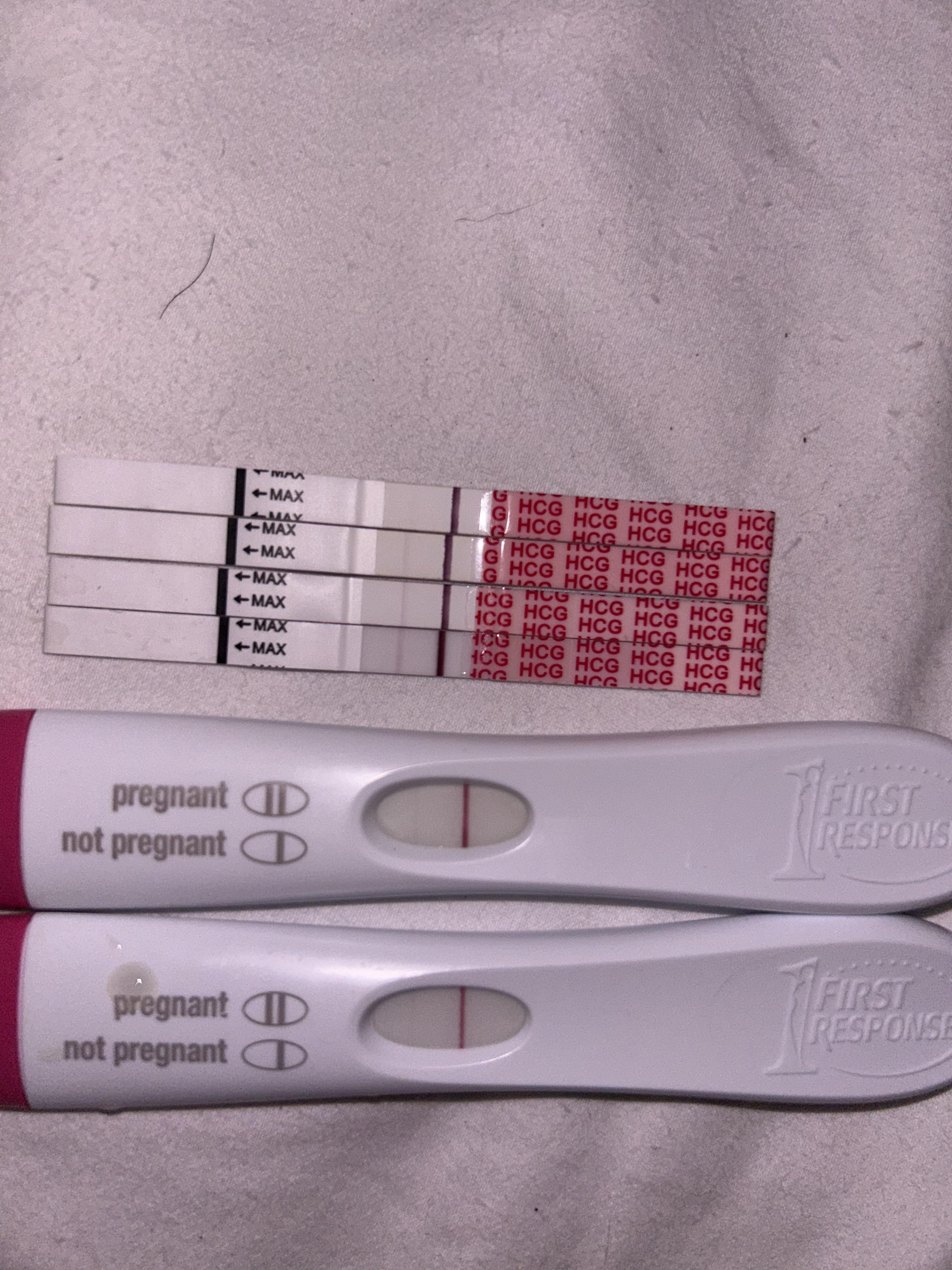 Line progression ?? 12 dpiui | Scrolller