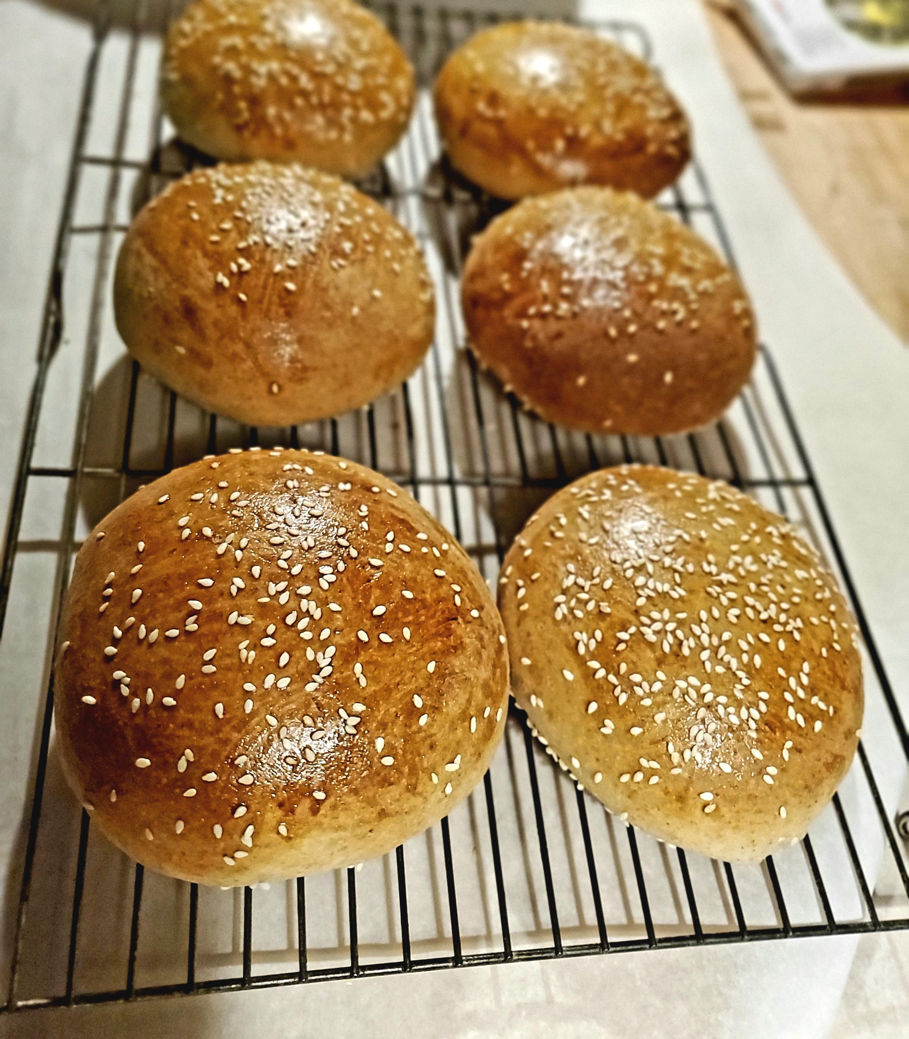 Made sourdough Hamburger buns for the first time | Scrolller
