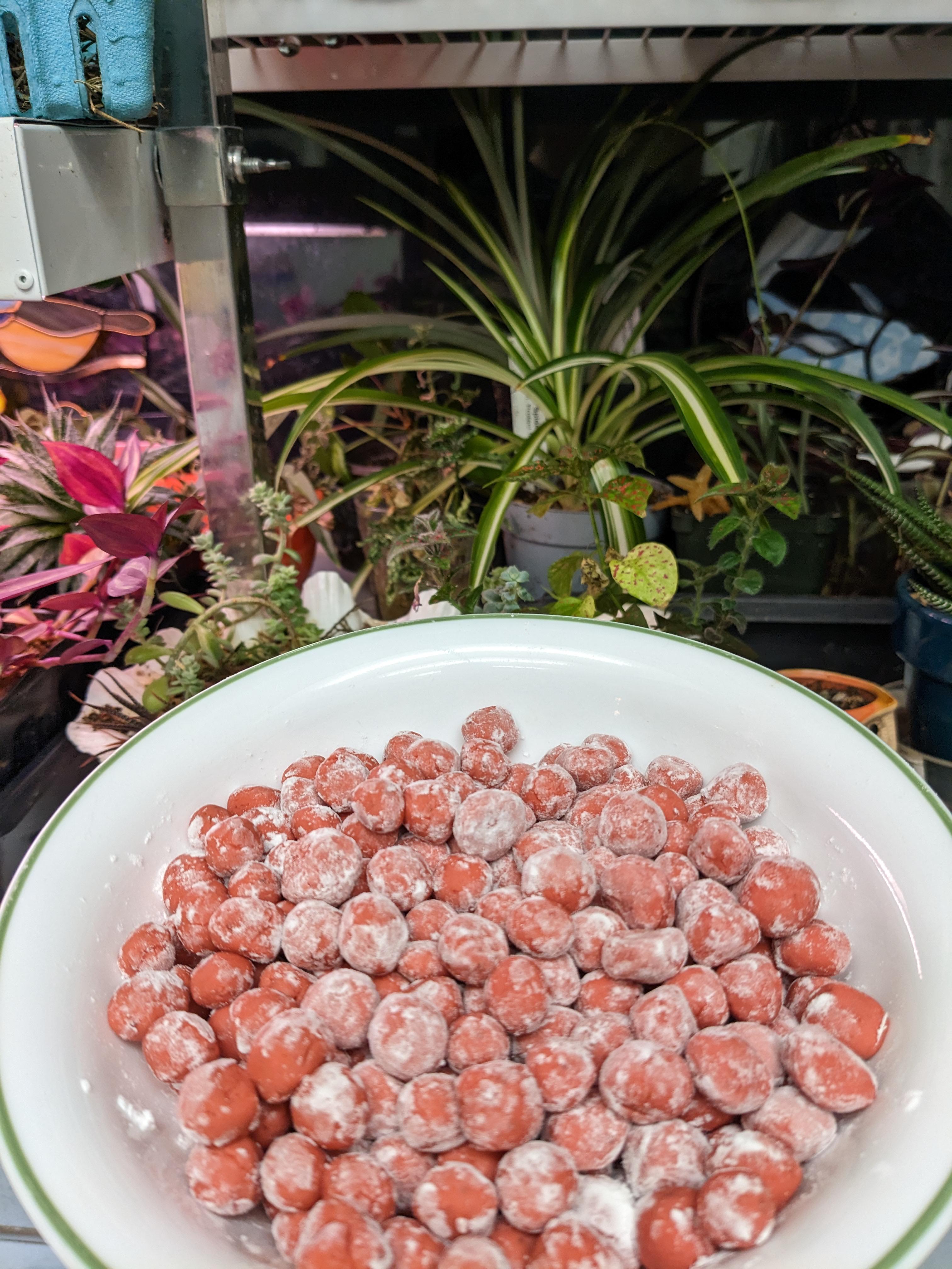 [Homemade] Strawberry/Raspberry Boba | Scrolller
