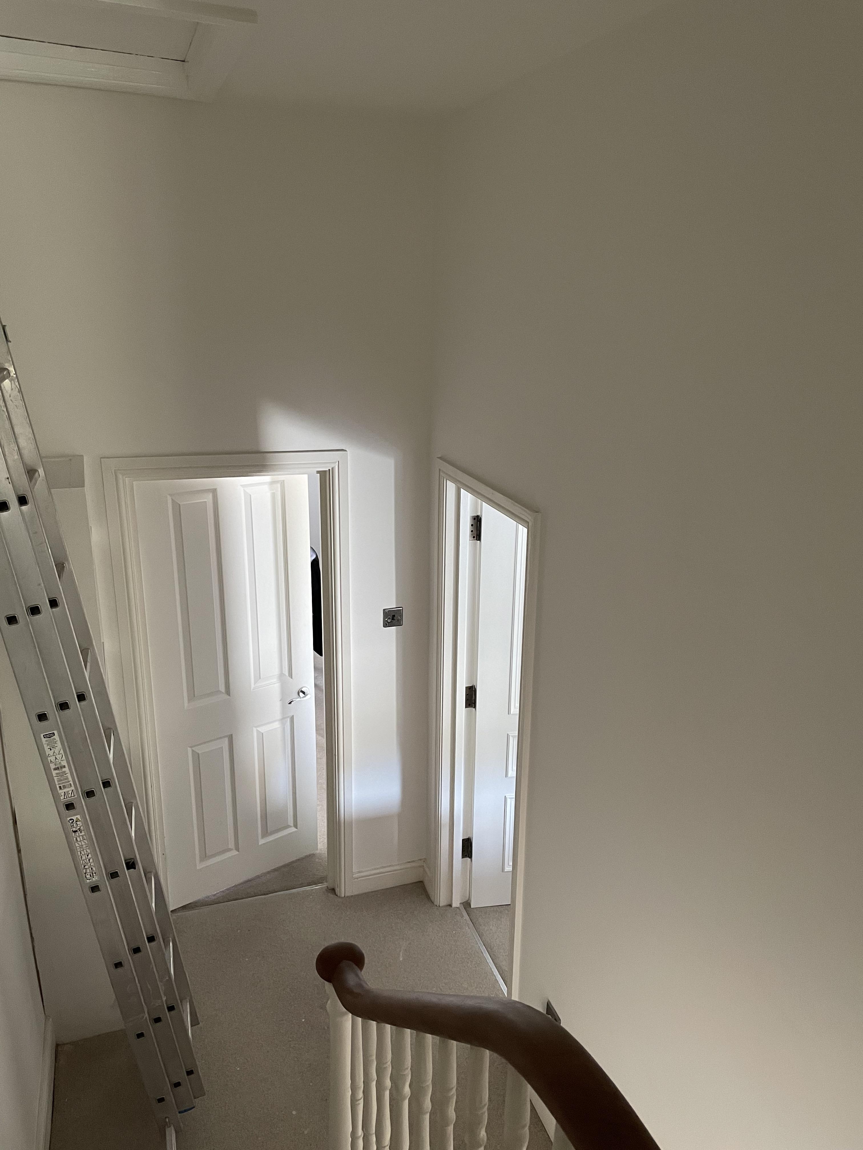 Dado rail positioning | Scrolller