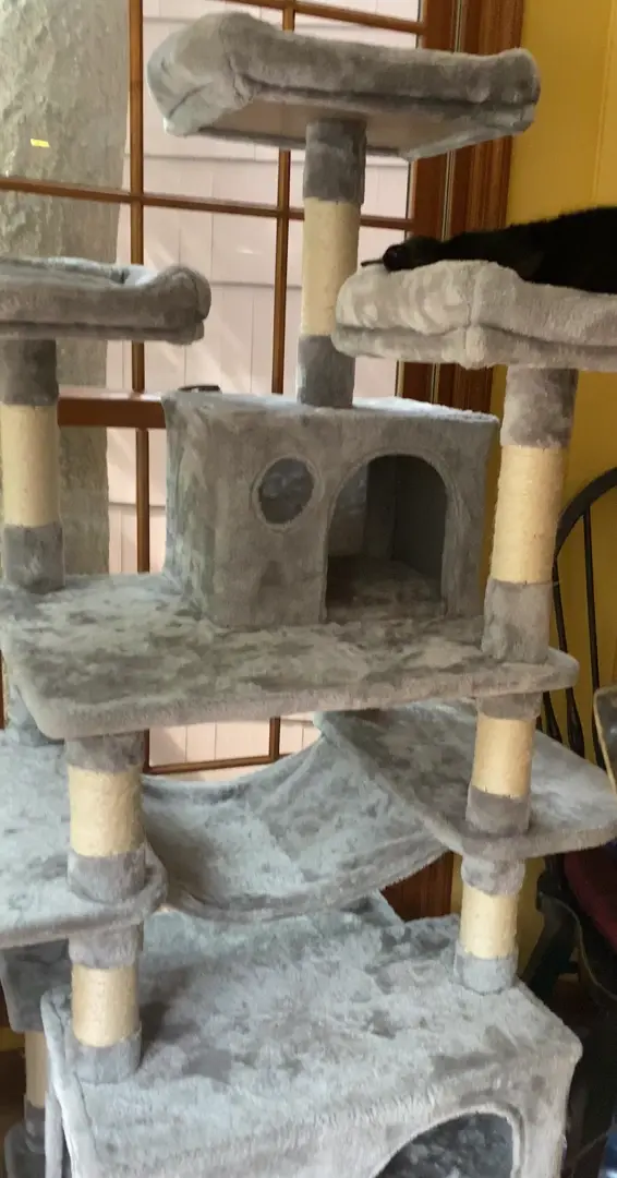 wake up, my lord | Scrolller