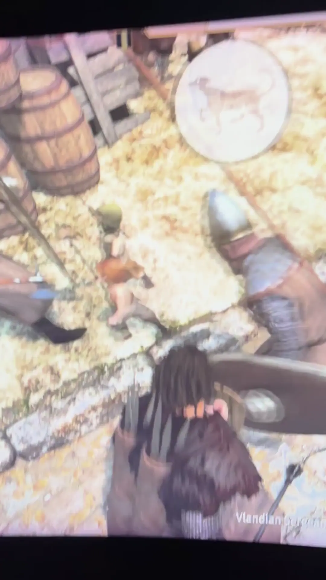 WARNING -Rare dwarf sighting in Bannerlord | Scrolller