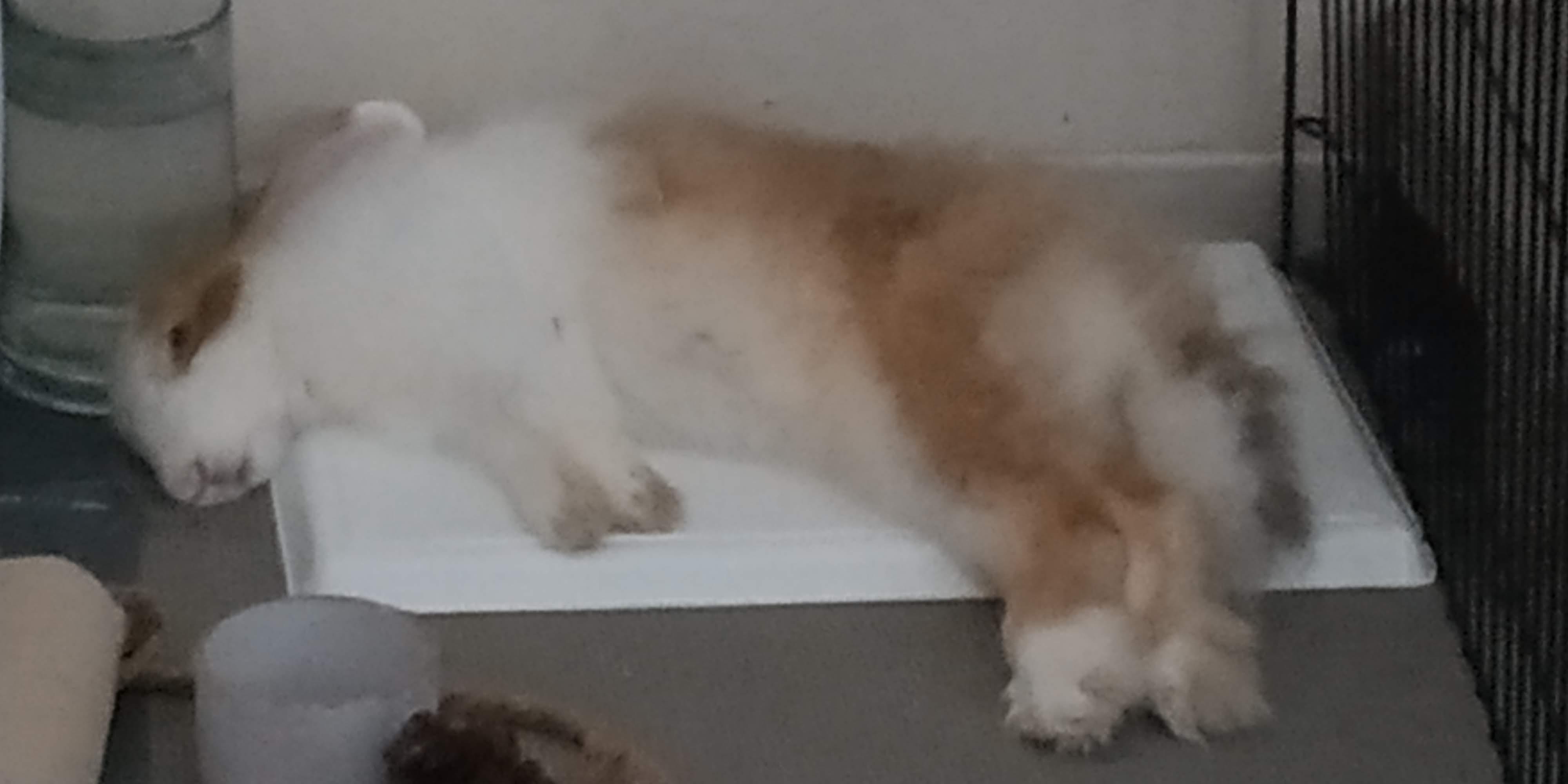 Wasted!💤 | Scrolller