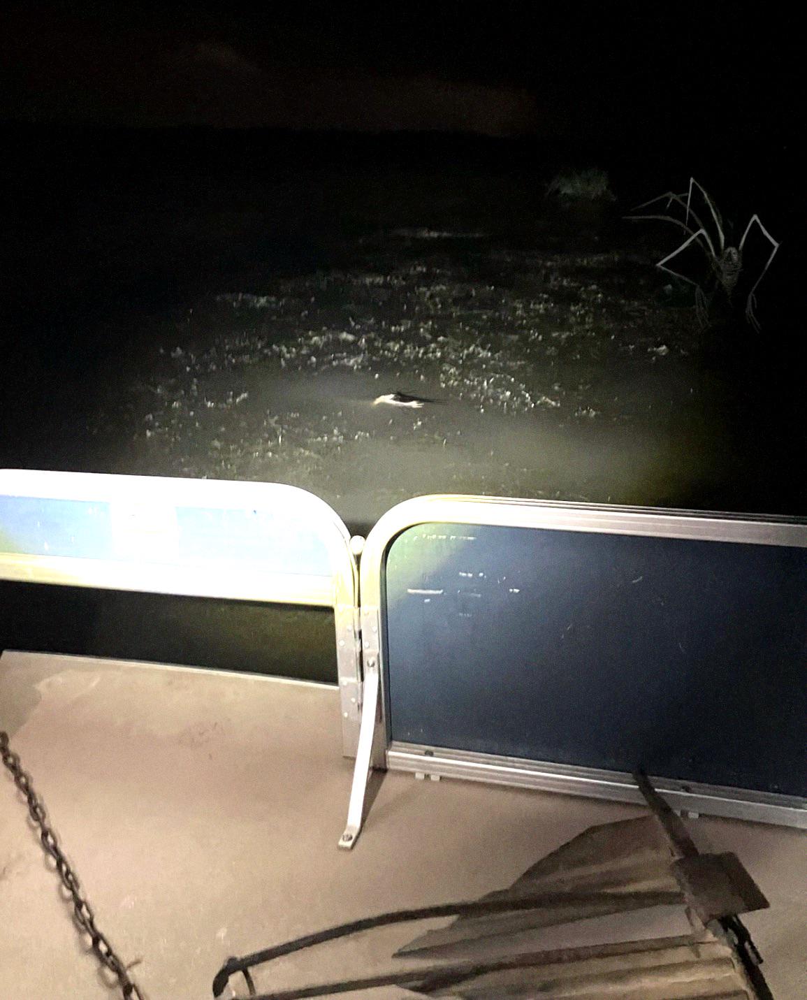 Water corpse | Scrolller