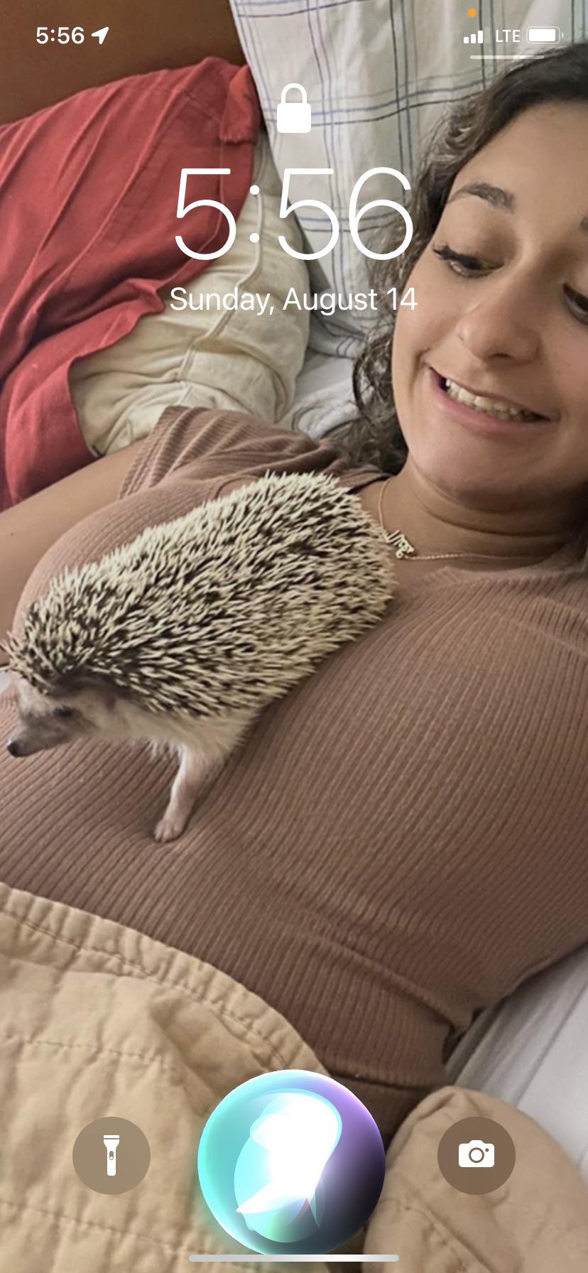 Hedgehog recently passed. Just wanted to give my dad a happy image. Can someone make something ...