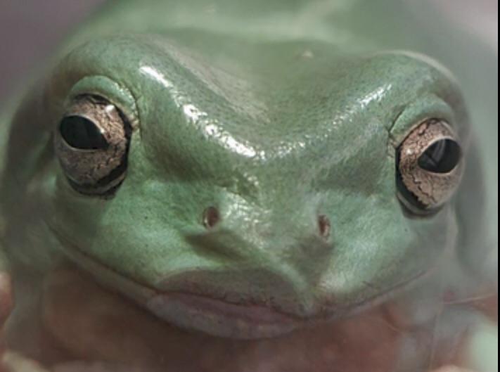 The detective is in | Scrolller