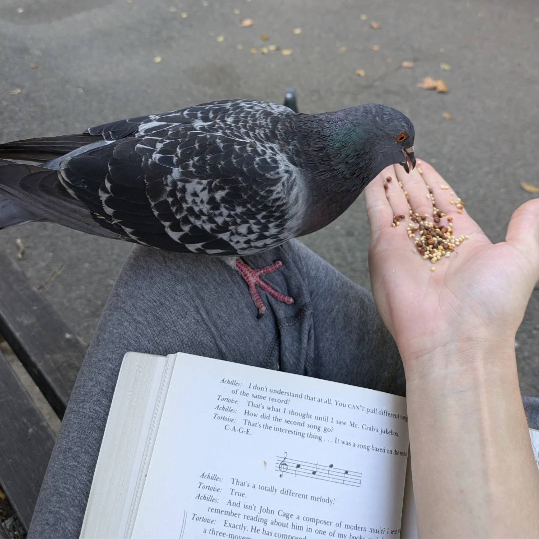 we are reading a book | Scrolller