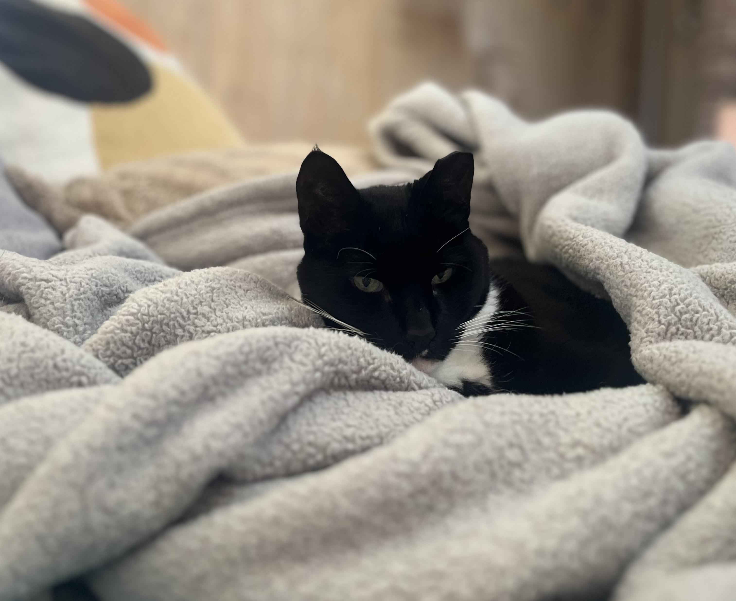 Step 1: Drape. Step 2: smolder. | Scrolller