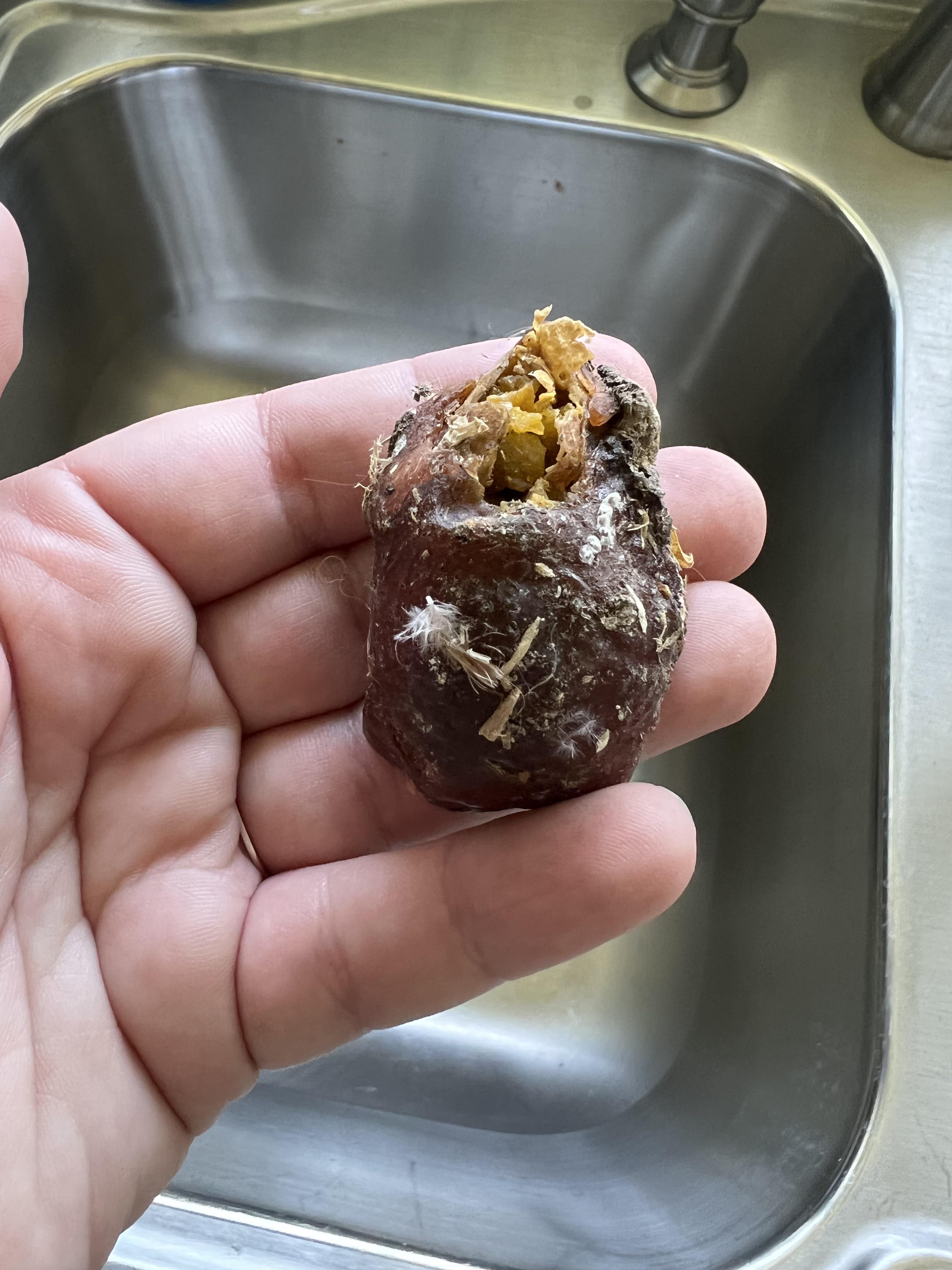 Weird Egg | Scrolller