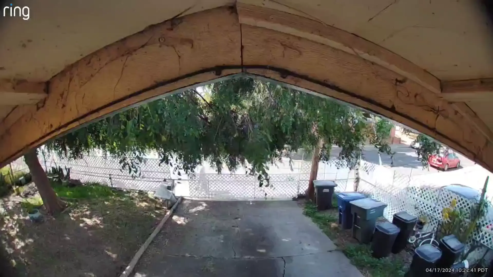 Weird noise | Scrolller