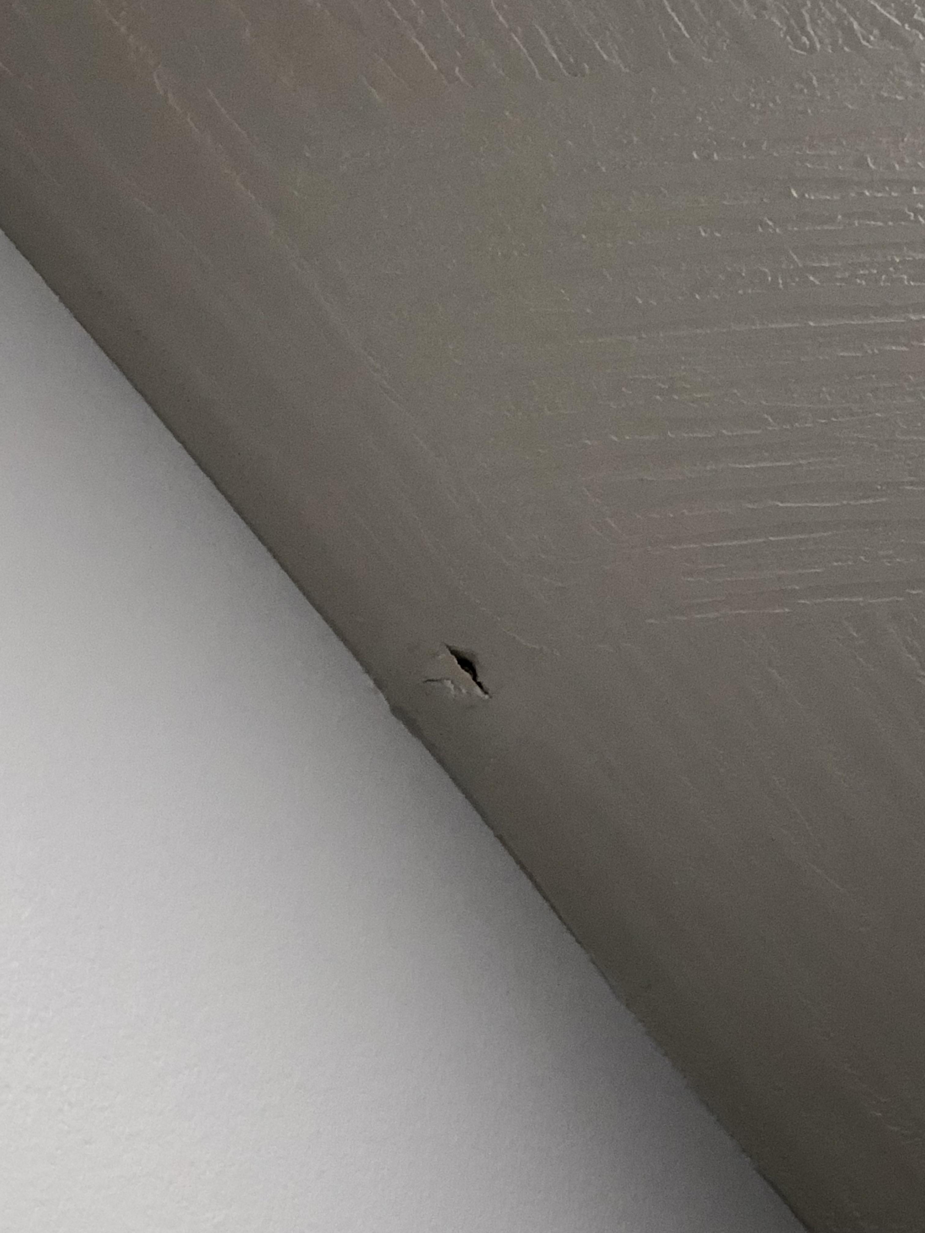 Foundation problem?! | Scrolller