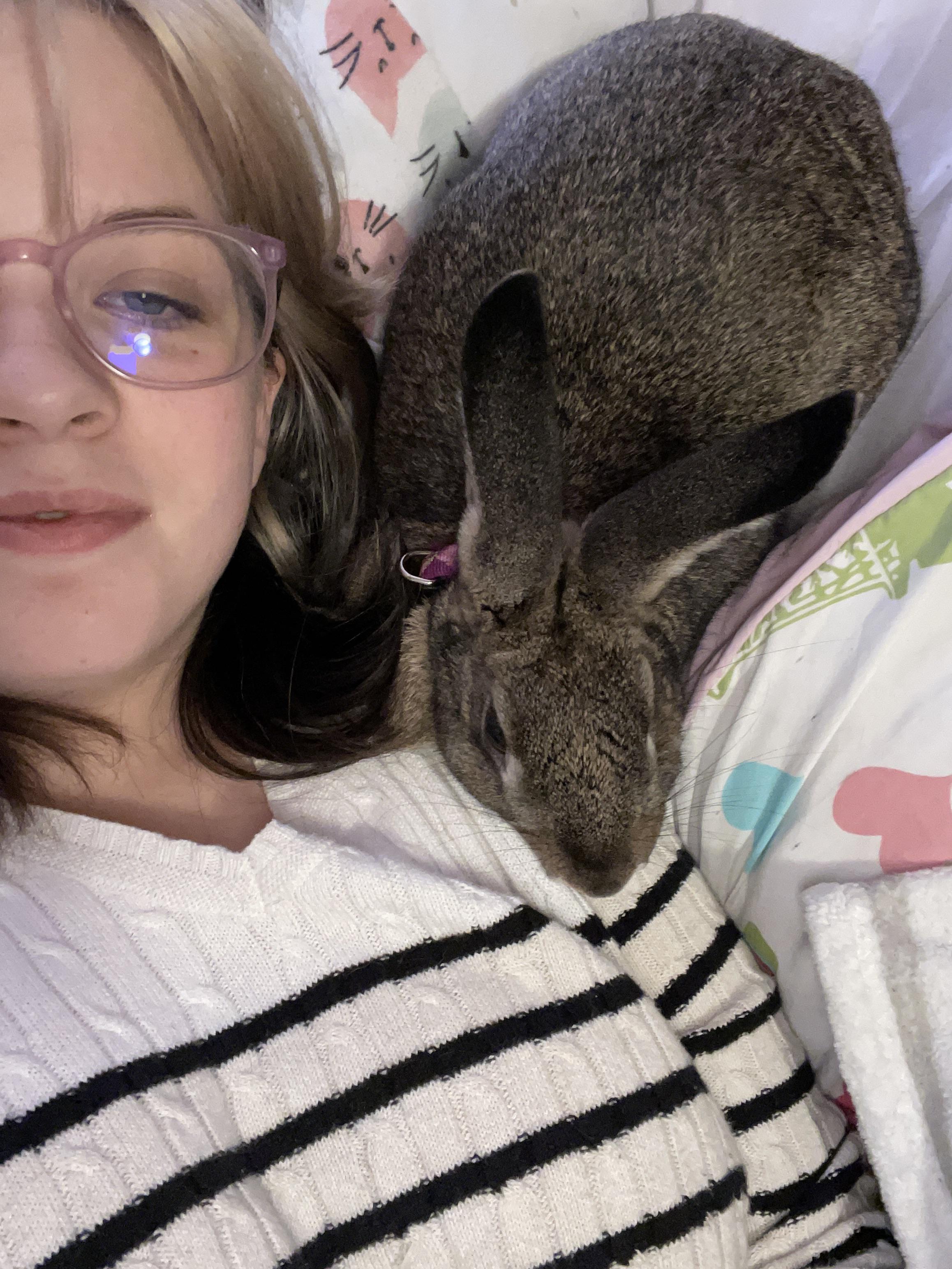 RIP Clover | Scrolller