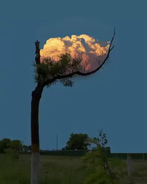 What a beautiful capture | Scrolller