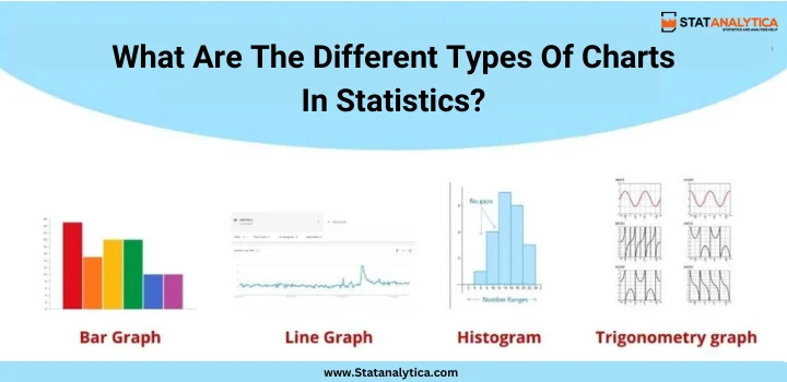 What Are The Different Types Of Charts In Statistics? | Scrolller