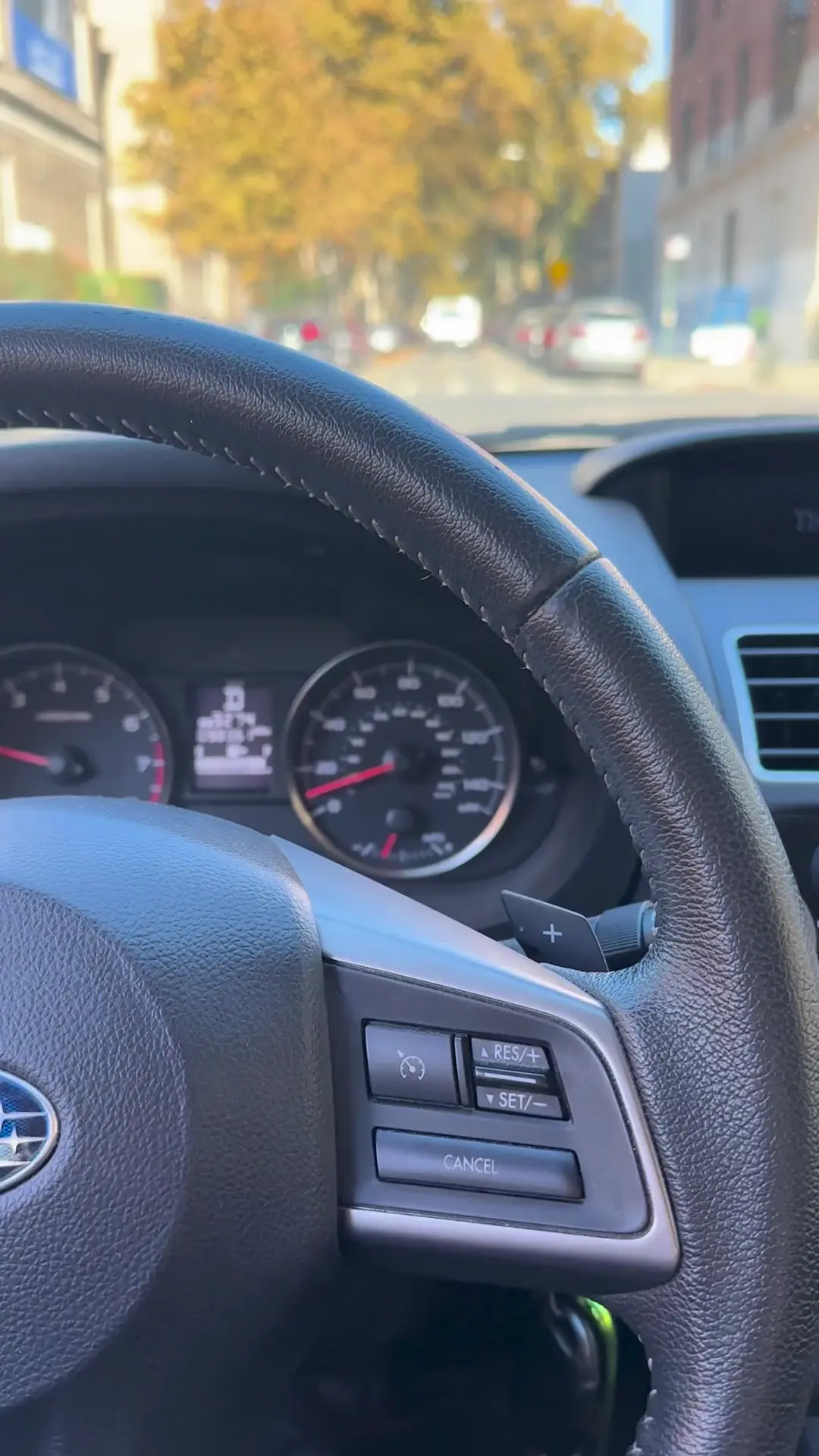 What are these noises? | Scrolller