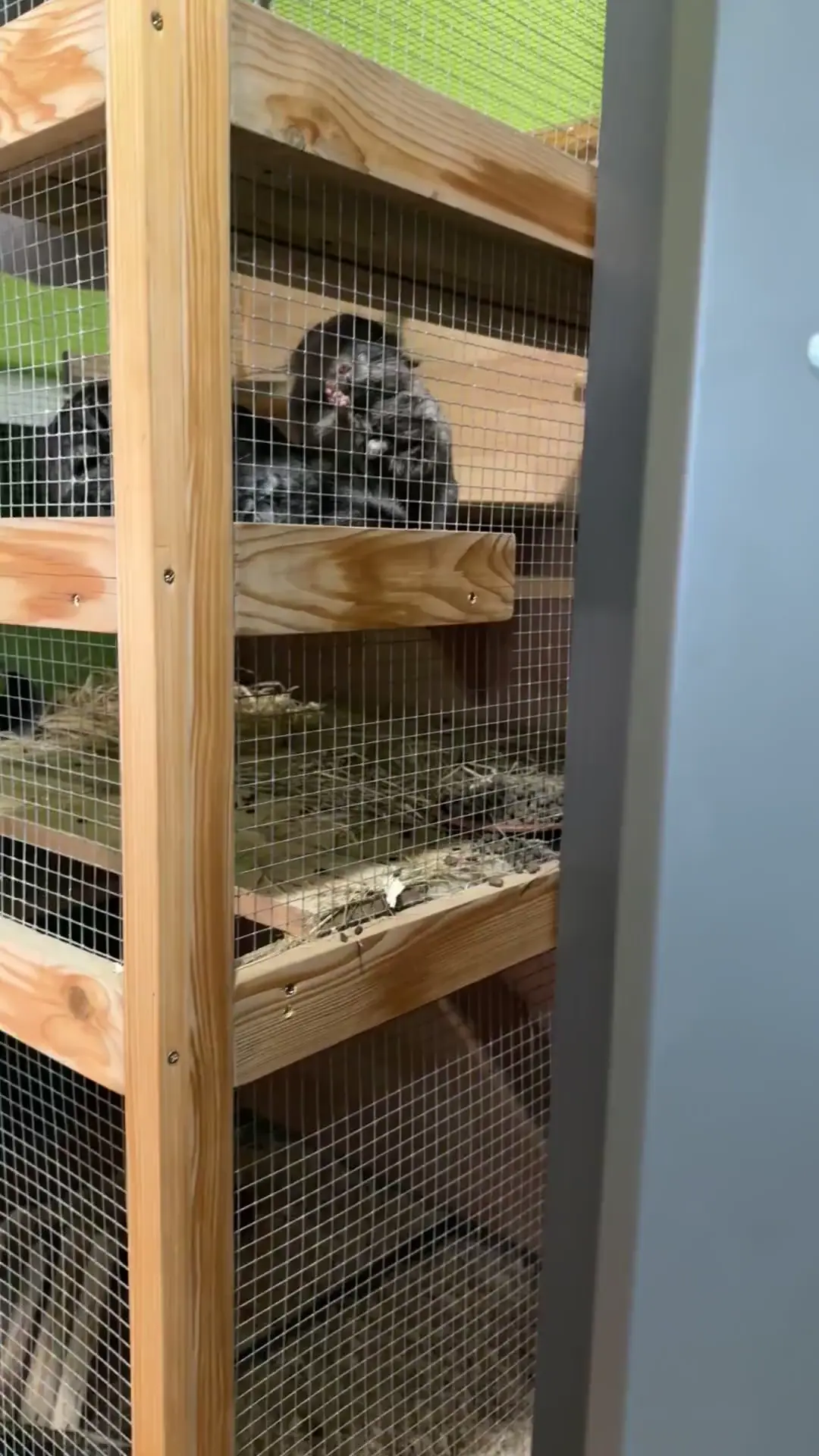 What is she doing? | Scrolller