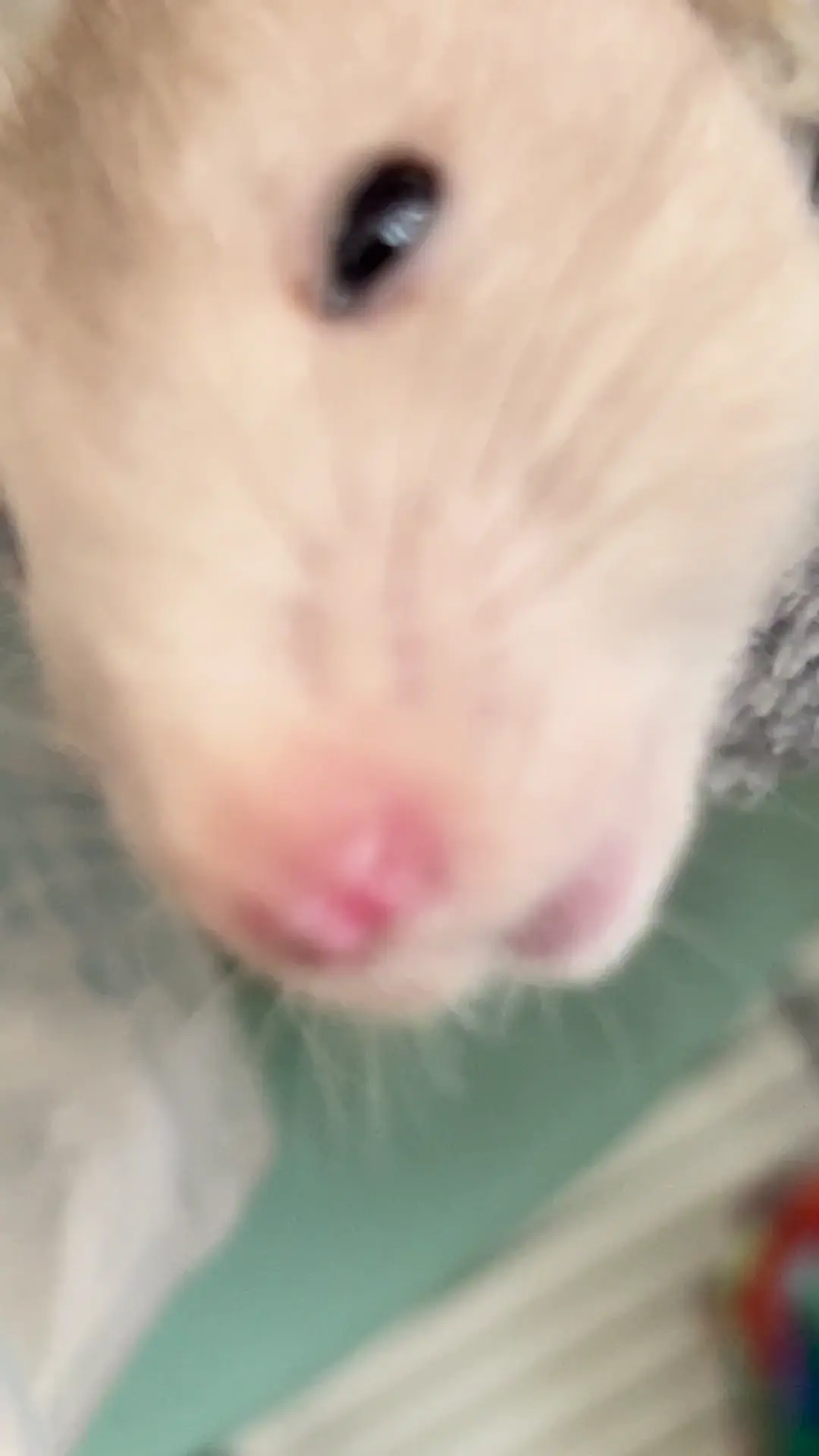 What is she doing????? | Scrolller