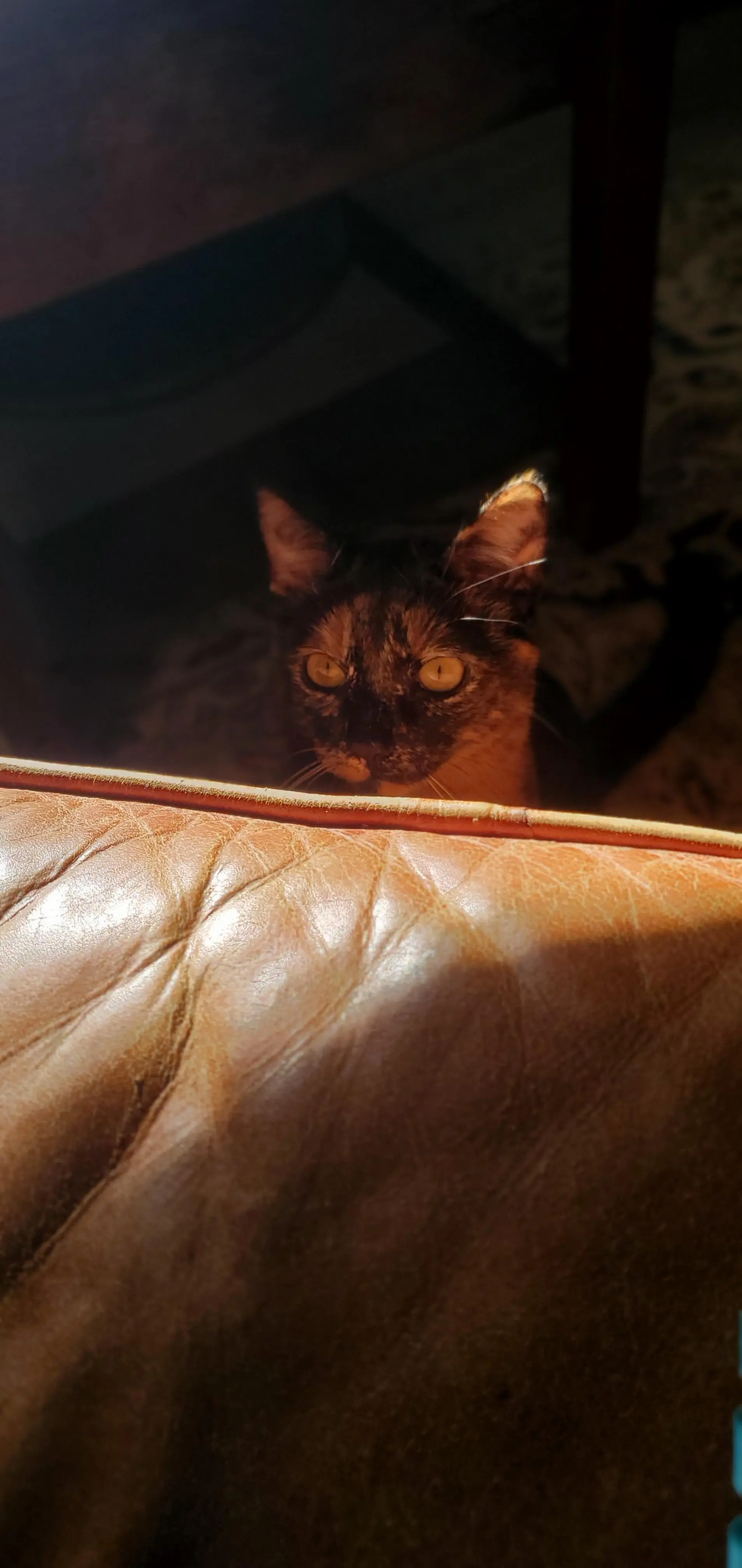 What is she plotting? | Scrolller