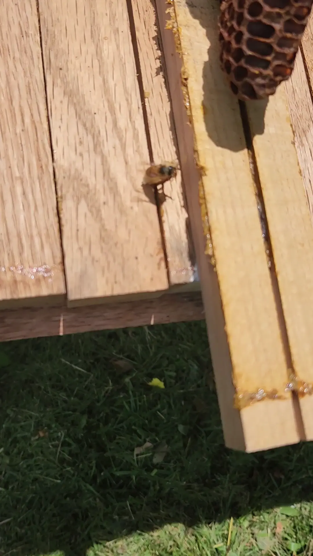 What is this behavior? | Scrolller