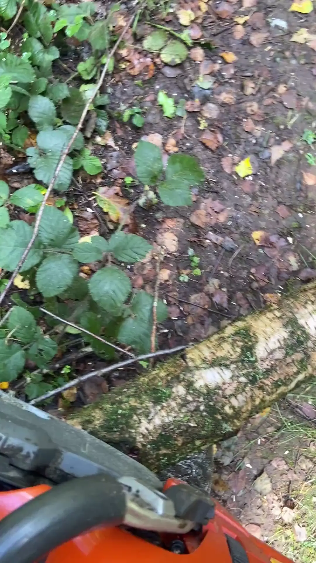 What is this rattle on my 550xpg mk2? | Scrolller