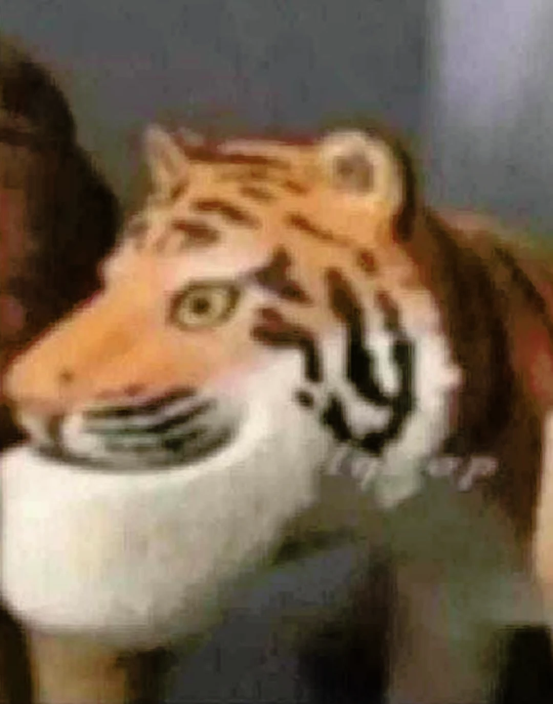 What meowing does to a tiger | Scrolller