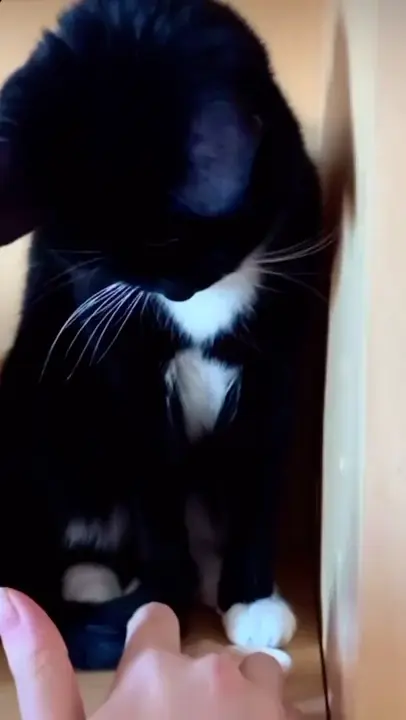 What’s this sorcery?! | Scrolller