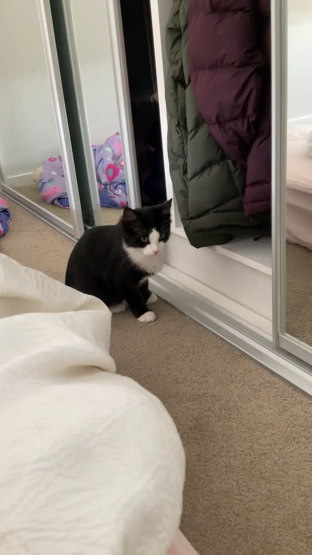 What was he so scared of? 😅 | Scrolller