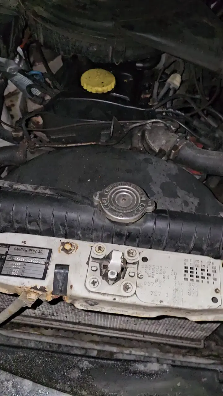 What's that noise? | Scrolller