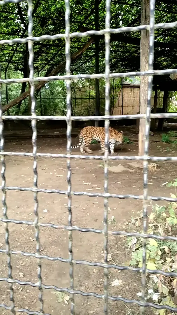 When you get too close to the exhibit | Scrolller