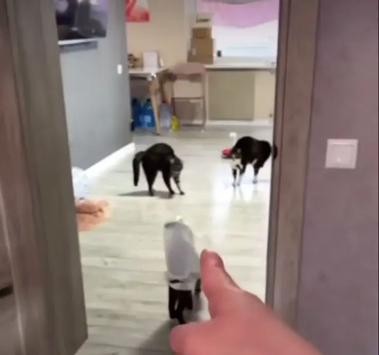 When your friends are jealous of your new outfit | Scrolller