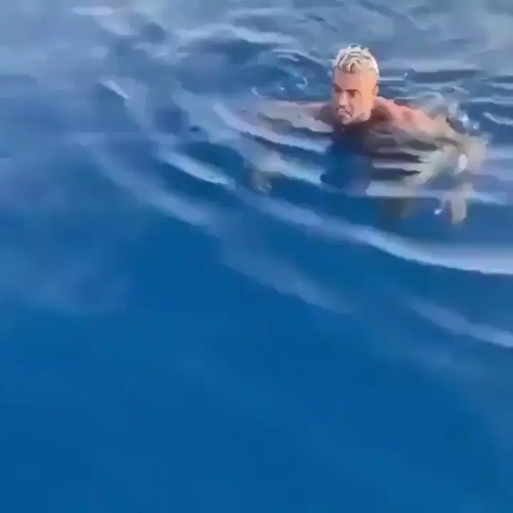 When Your New Buddy Tickles You With Their Dorsal Fin Scrolller