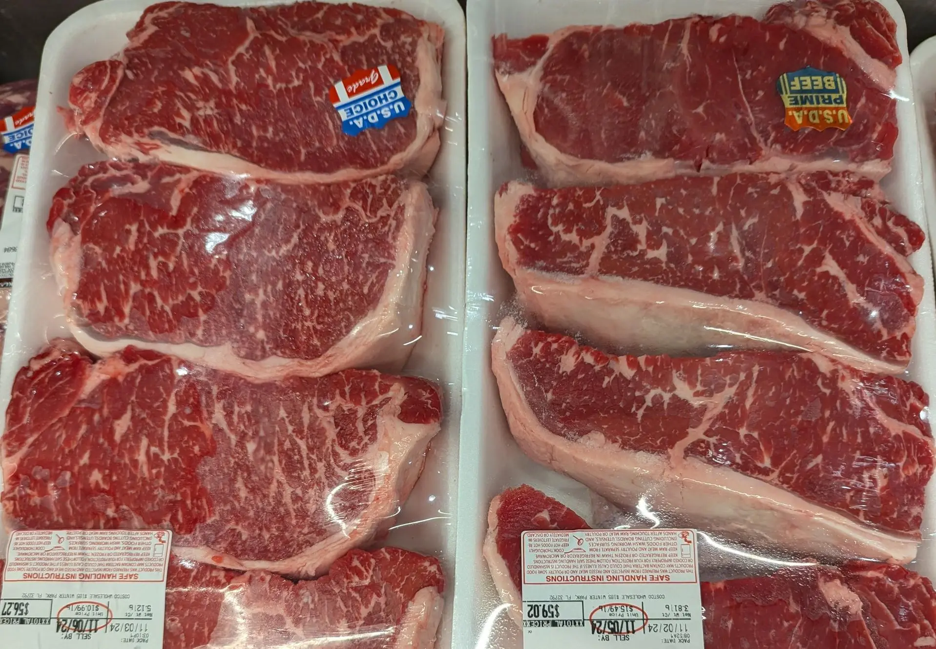 Which one are you picking?? | Scrolller