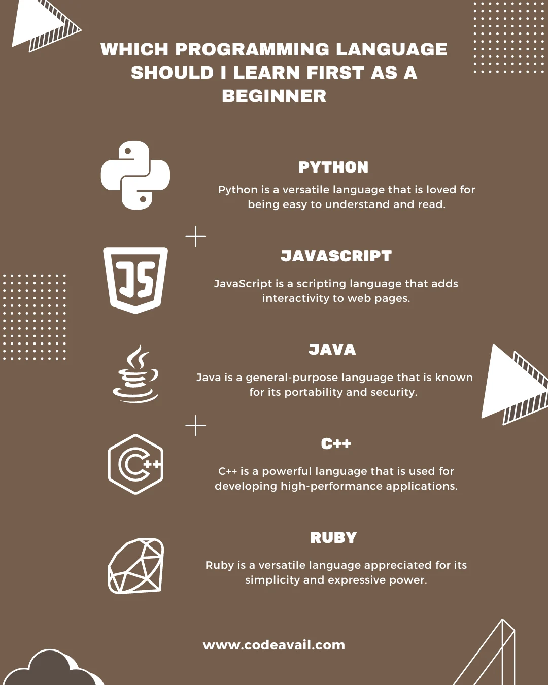 Which Programming Language Should I Learn First as a Beginner | Scrolller