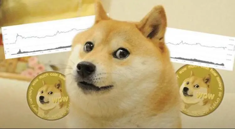 Who’s still holding DOGE? | Scrolller