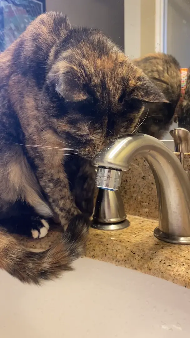 Why did it stop? | Scrolller