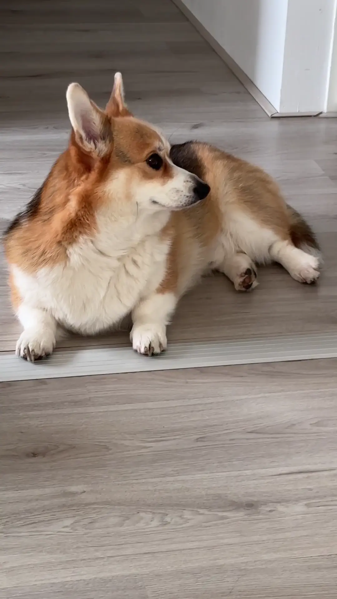 Why do they always judge? | Scrolller