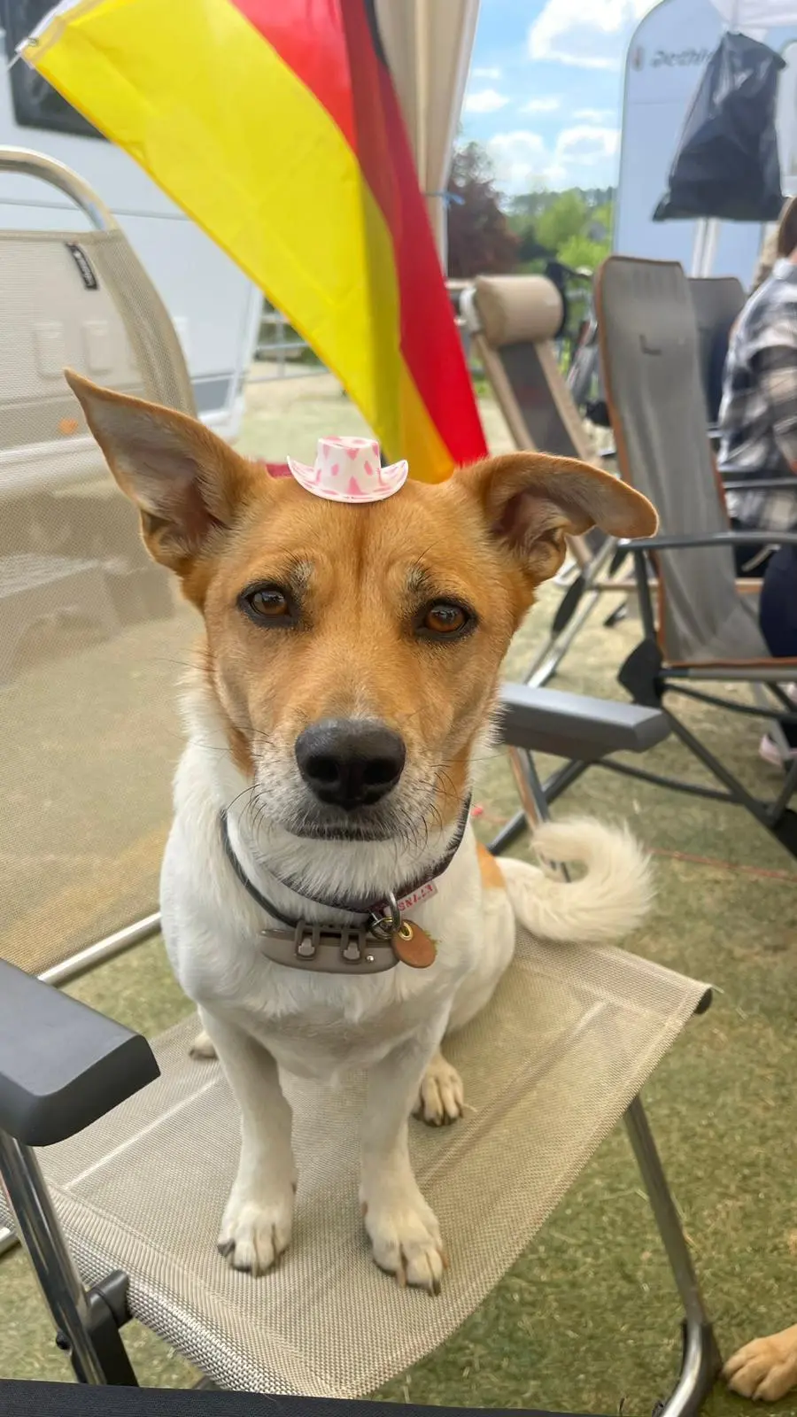 Why is he giving me this dramatic stare with that hat on | Scrolller