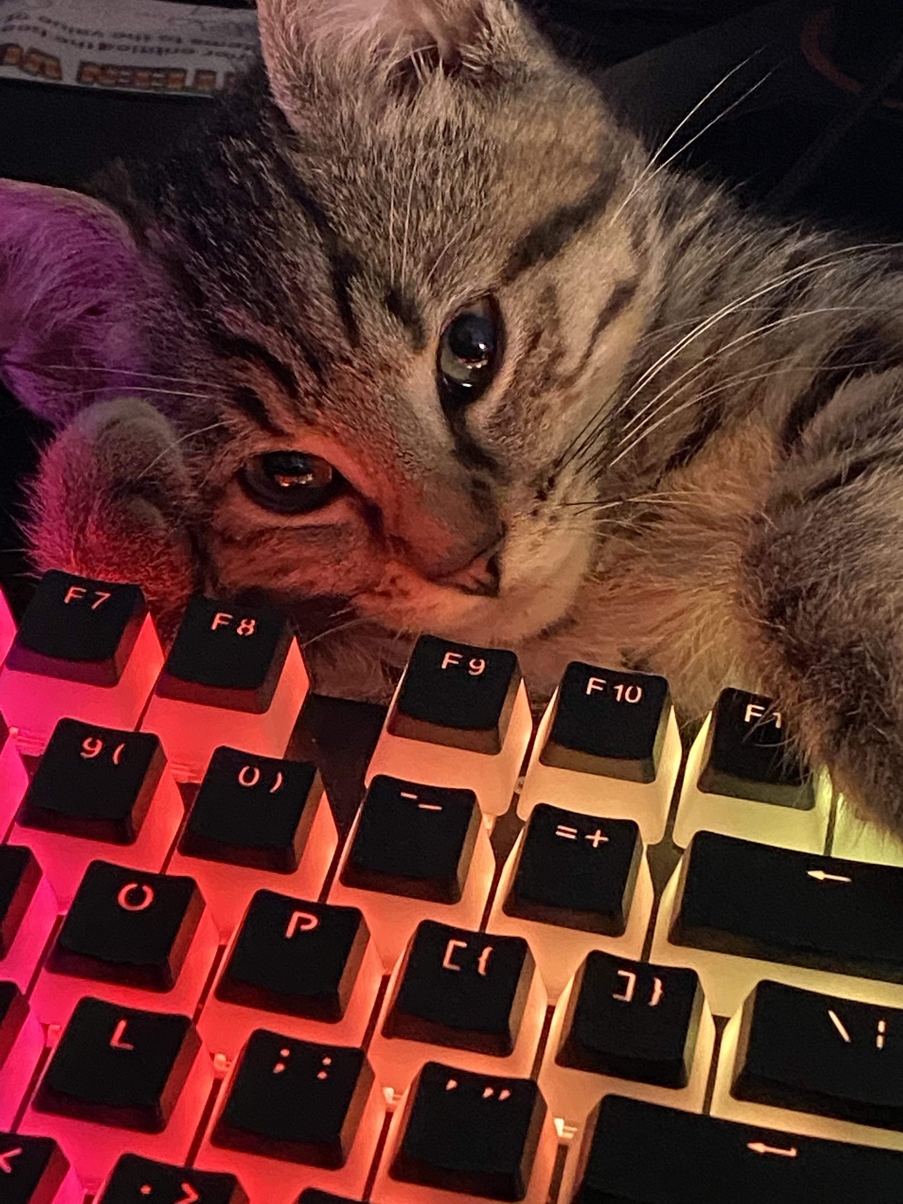 Why, when he nee | Scrolller