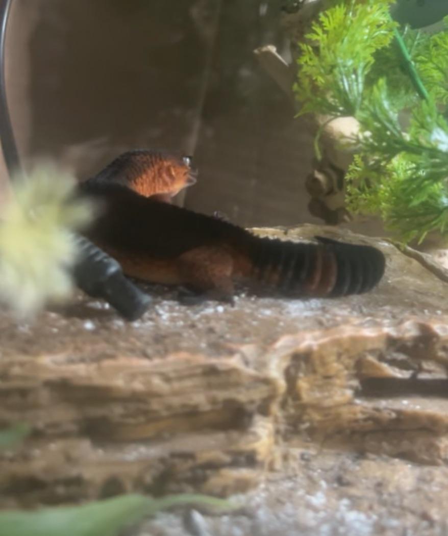 Before and after shed 🩷 | Scrolller