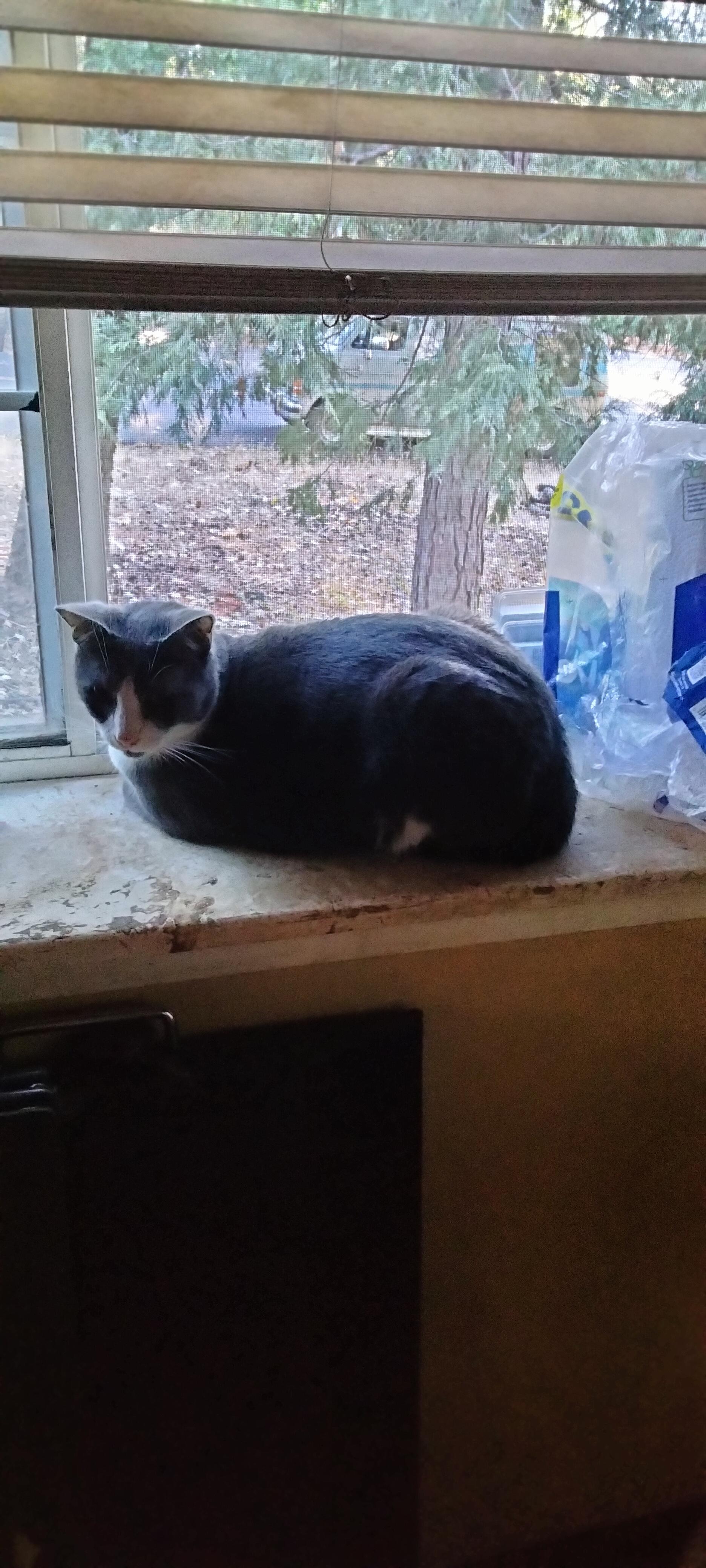 Window loaf | Scrolller