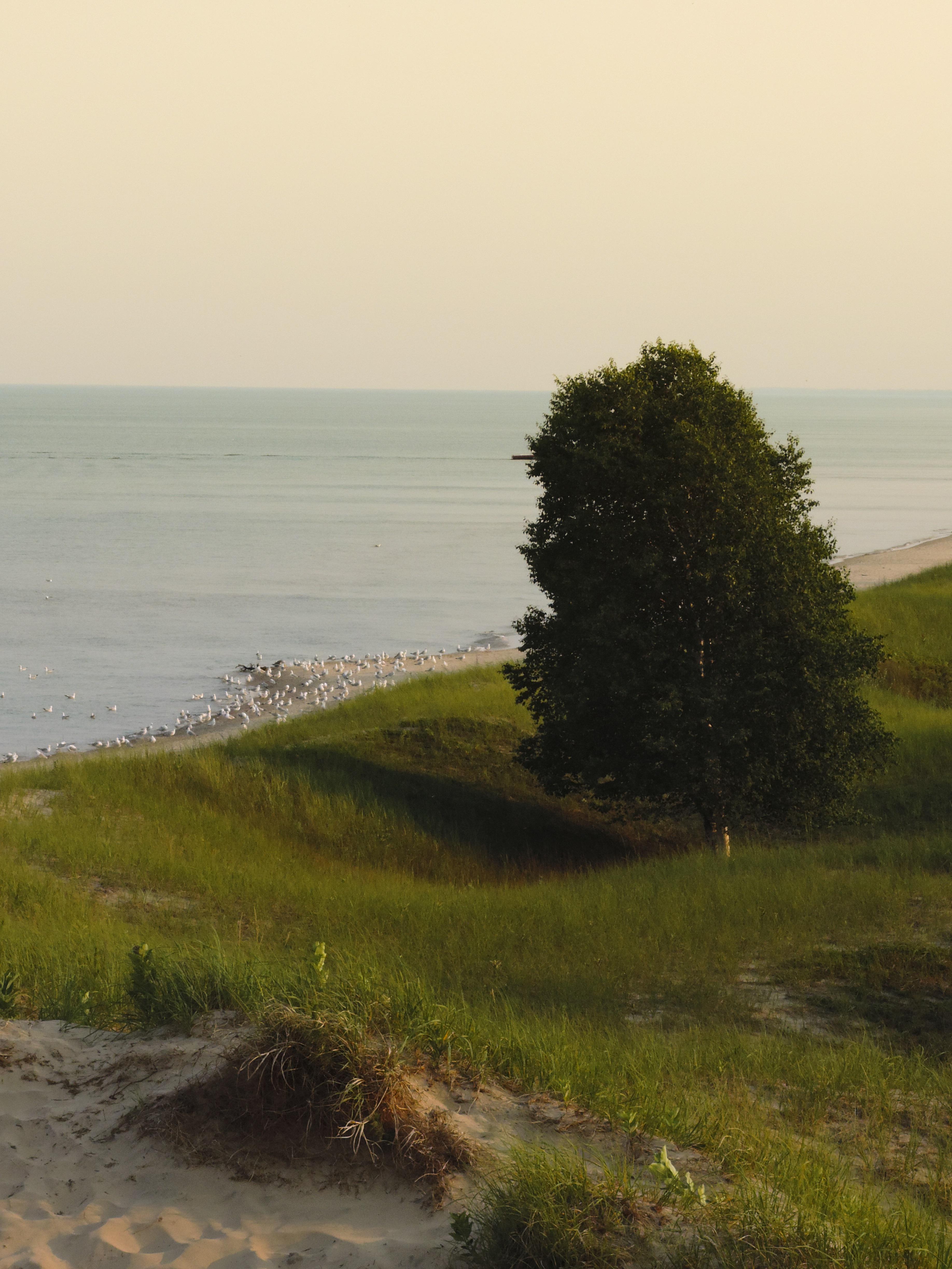 Wisconsin Coast | Scrolller